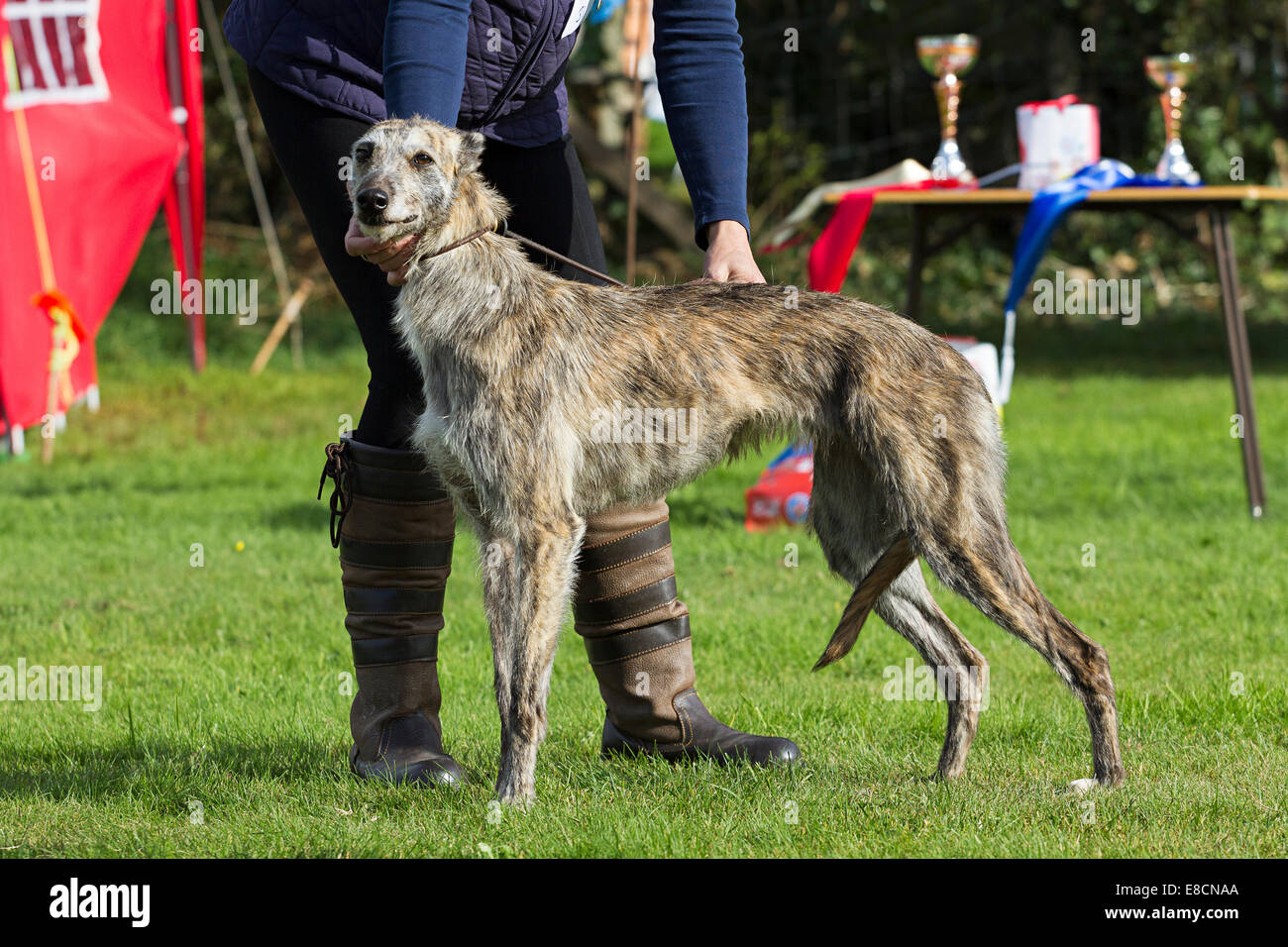 South wingfield derbyshire hi-res stock photography and images - Alamy