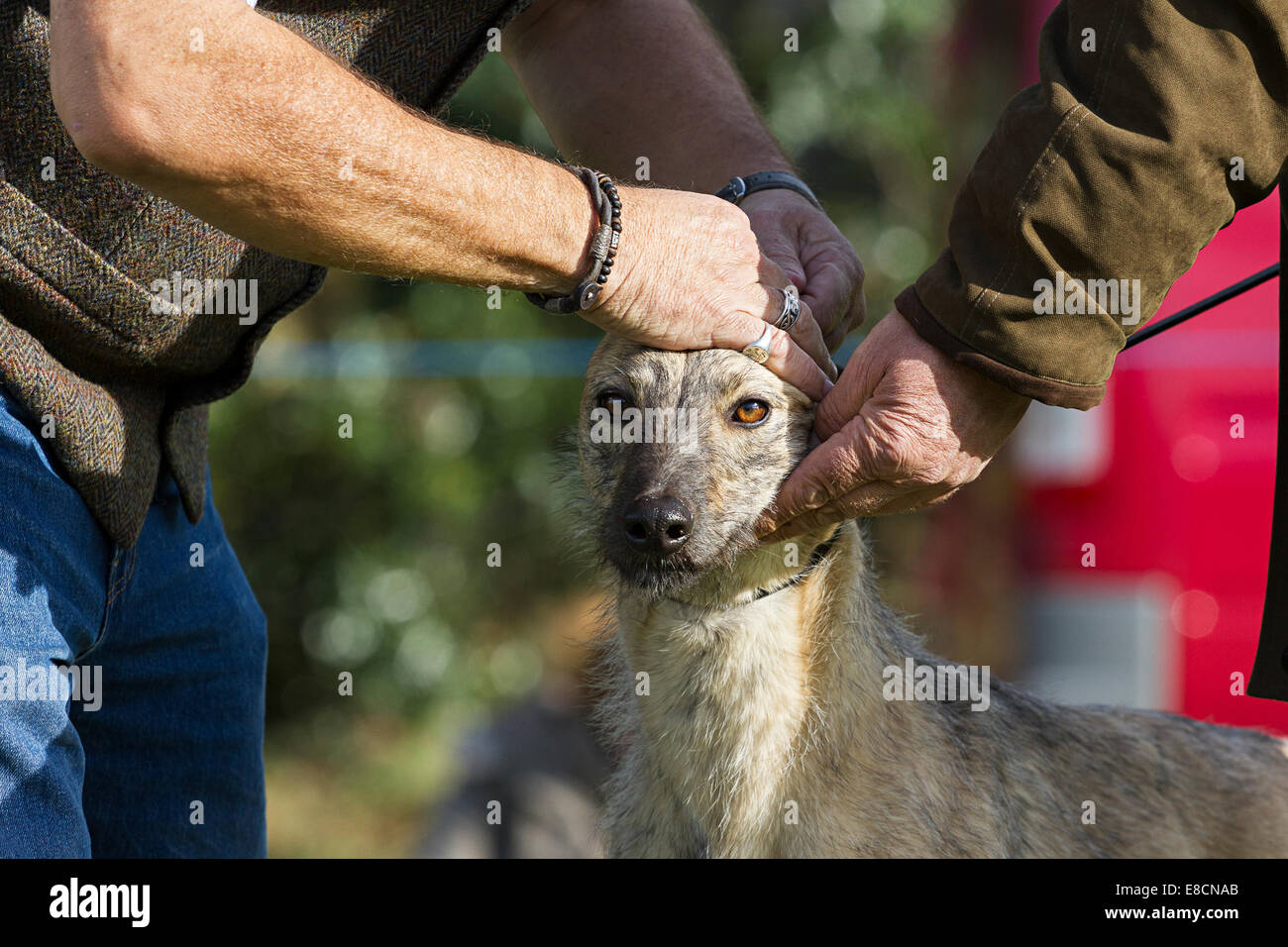 South wingfield derbyshire hi-res stock photography and images - Alamy
