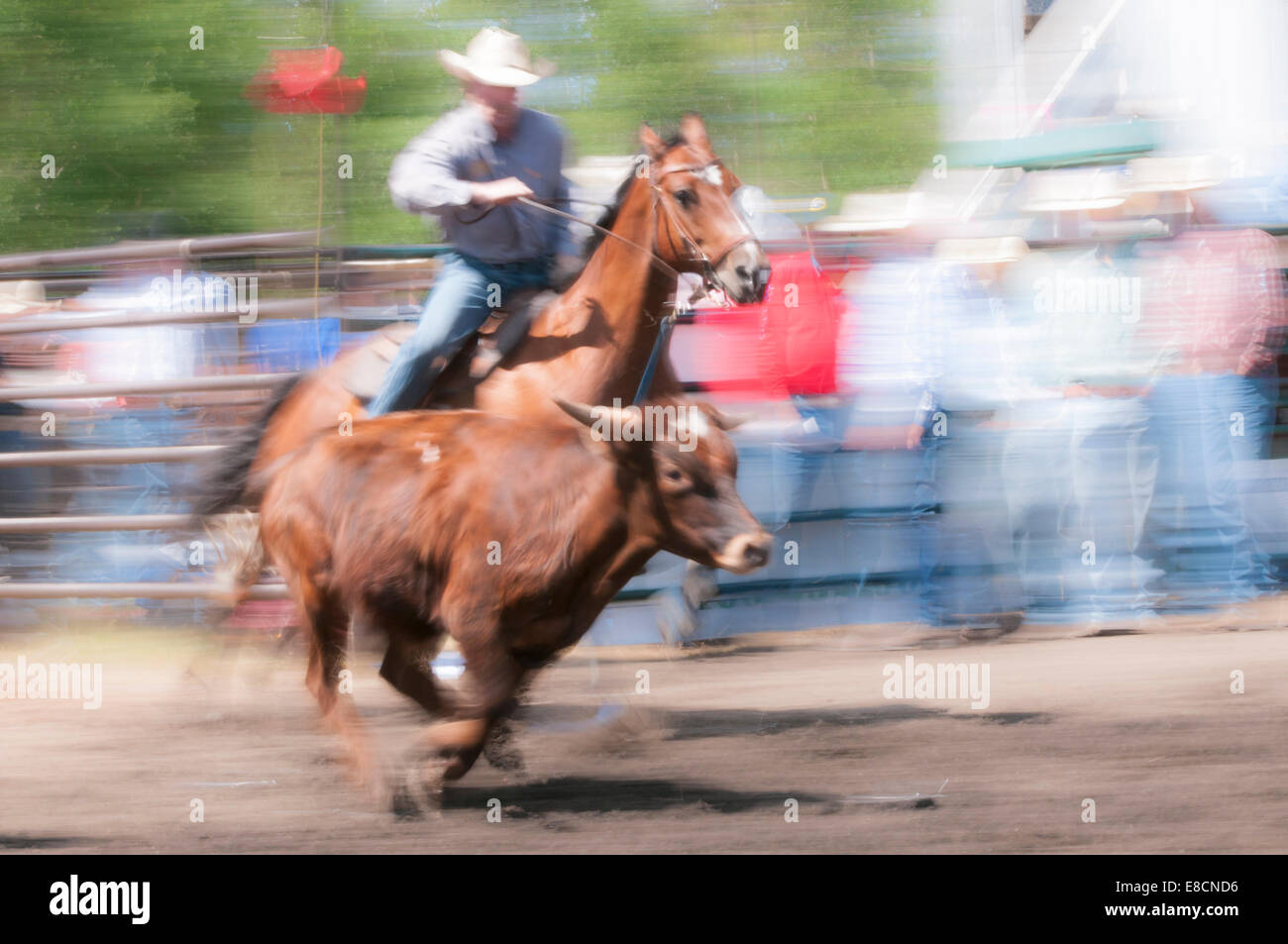 Dog Cowboy Horse Ride High Resolution Stock Photography and Images - Alamy
