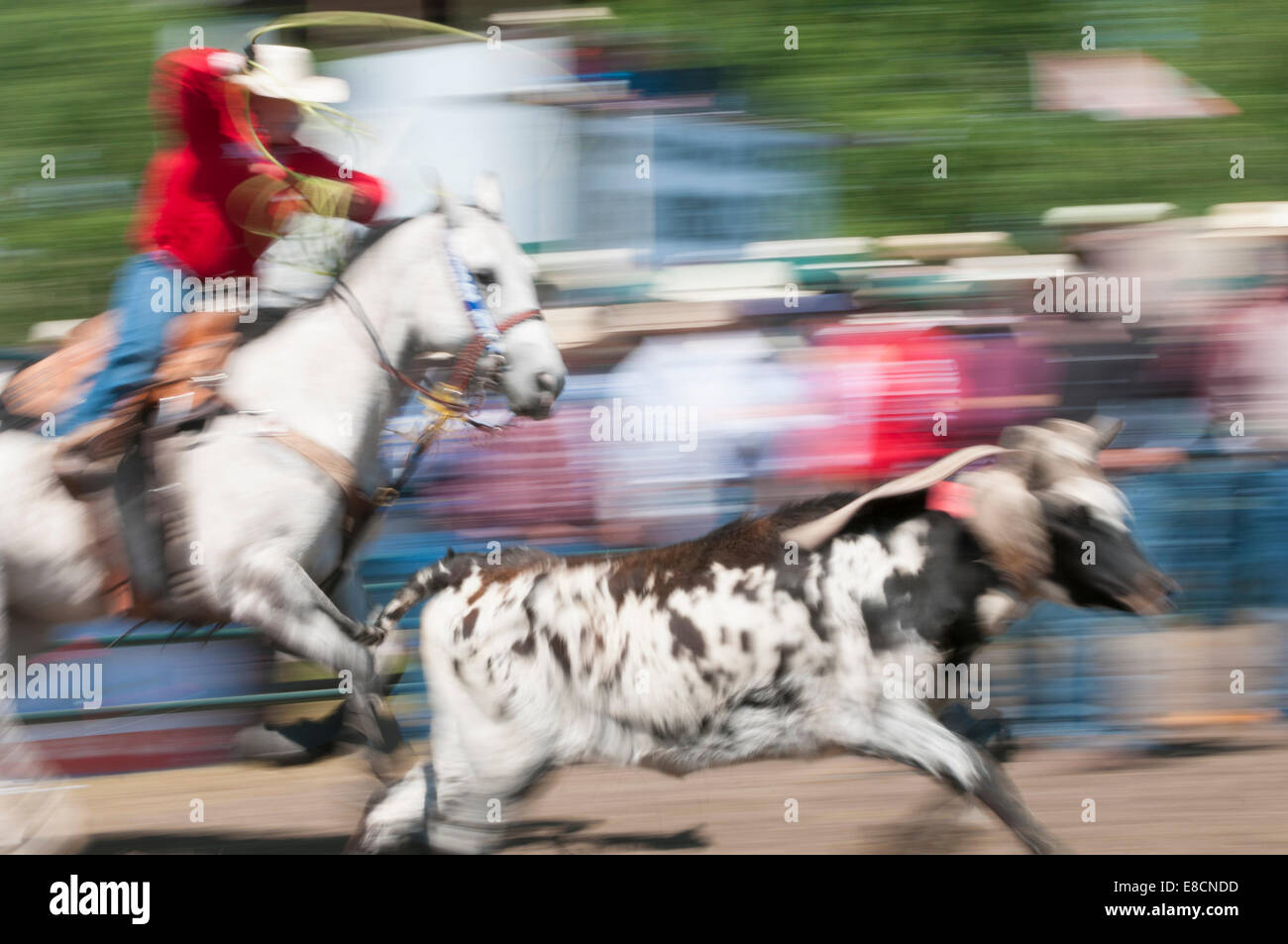 Dog Cowboy Horse Ride High Resolution Stock Photography and Images - Alamy