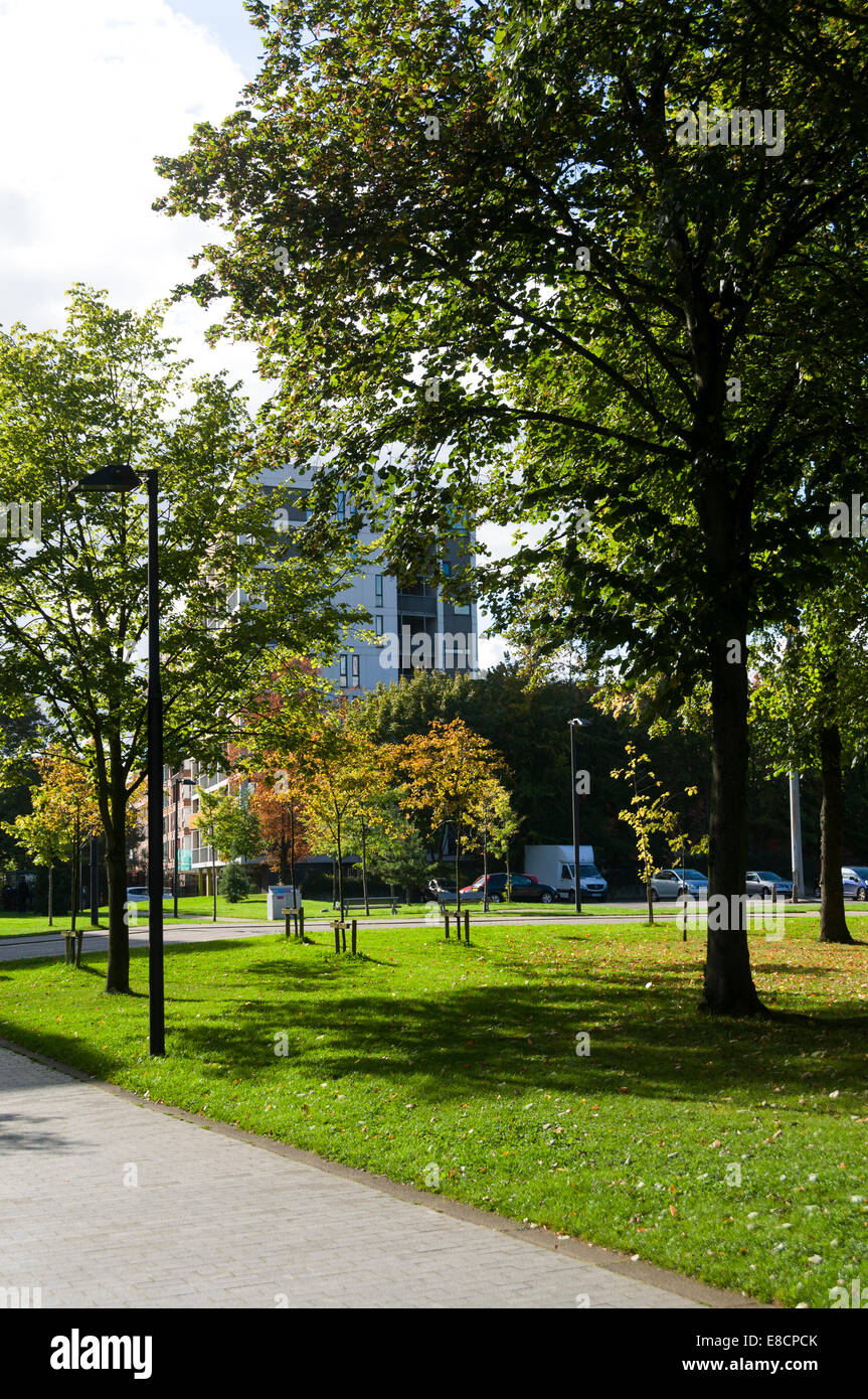 Autumn colours, Manchester University campus, Manchester, England, UK ...