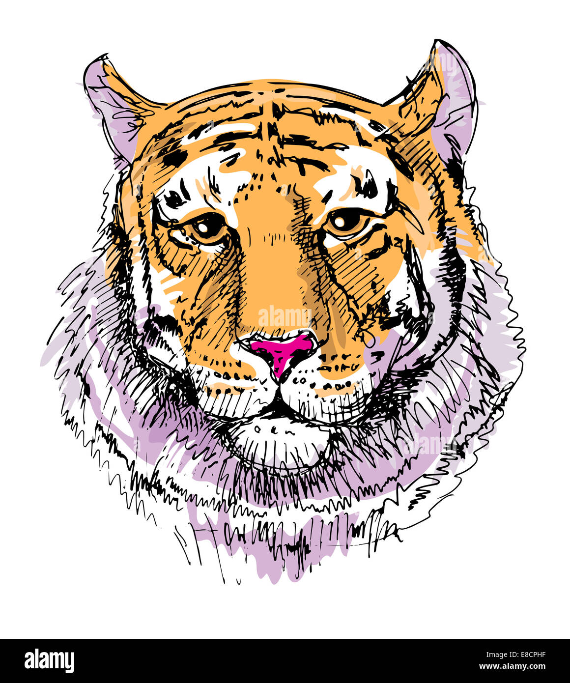 Artwork tiger, sketch drawing Stock Photo - Alamy