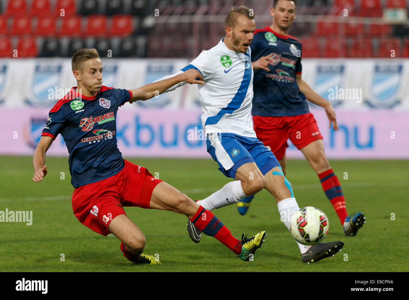 Tamas rubus hi-res stock photography and images - Alamy