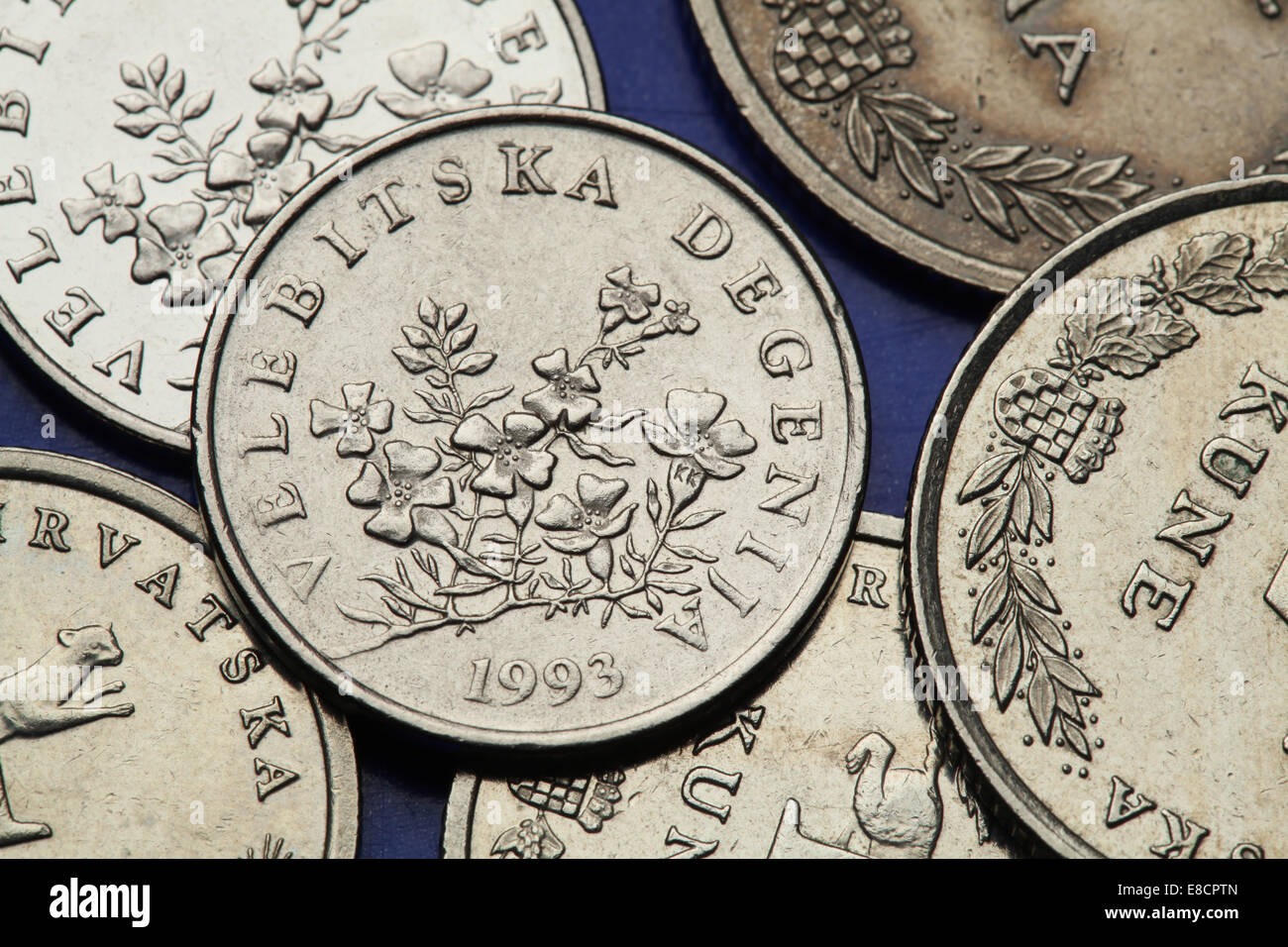 Coins of Croatia. Degenia (Degenia velebitica) depicted in the Croatian ...