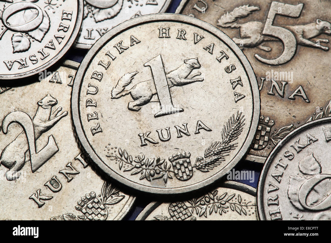 Coins of Croatia. Croatian national coat of arms and marten (Martes ...