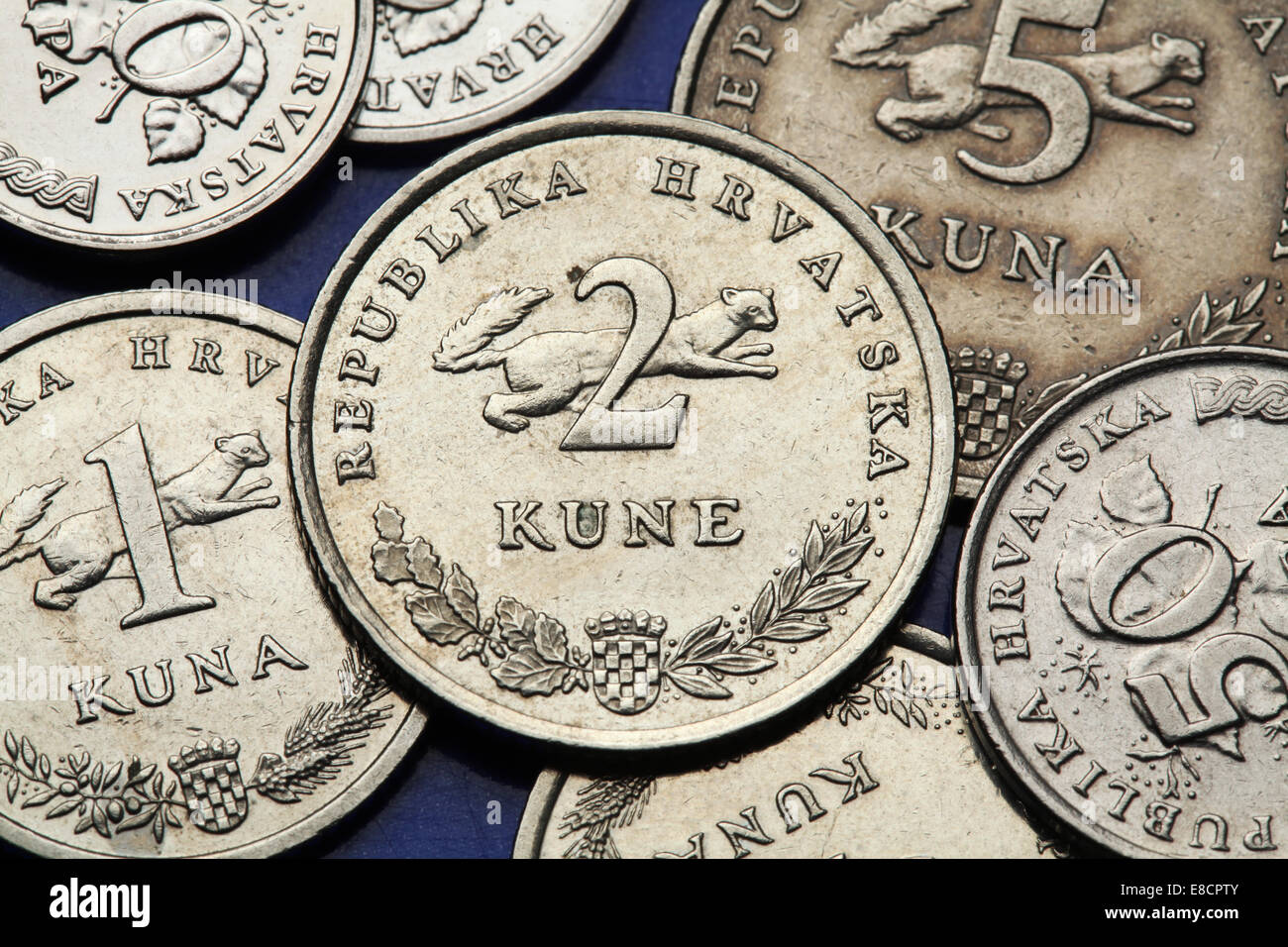 Kuna coat of arms hi-res stock photography and images - Alamy