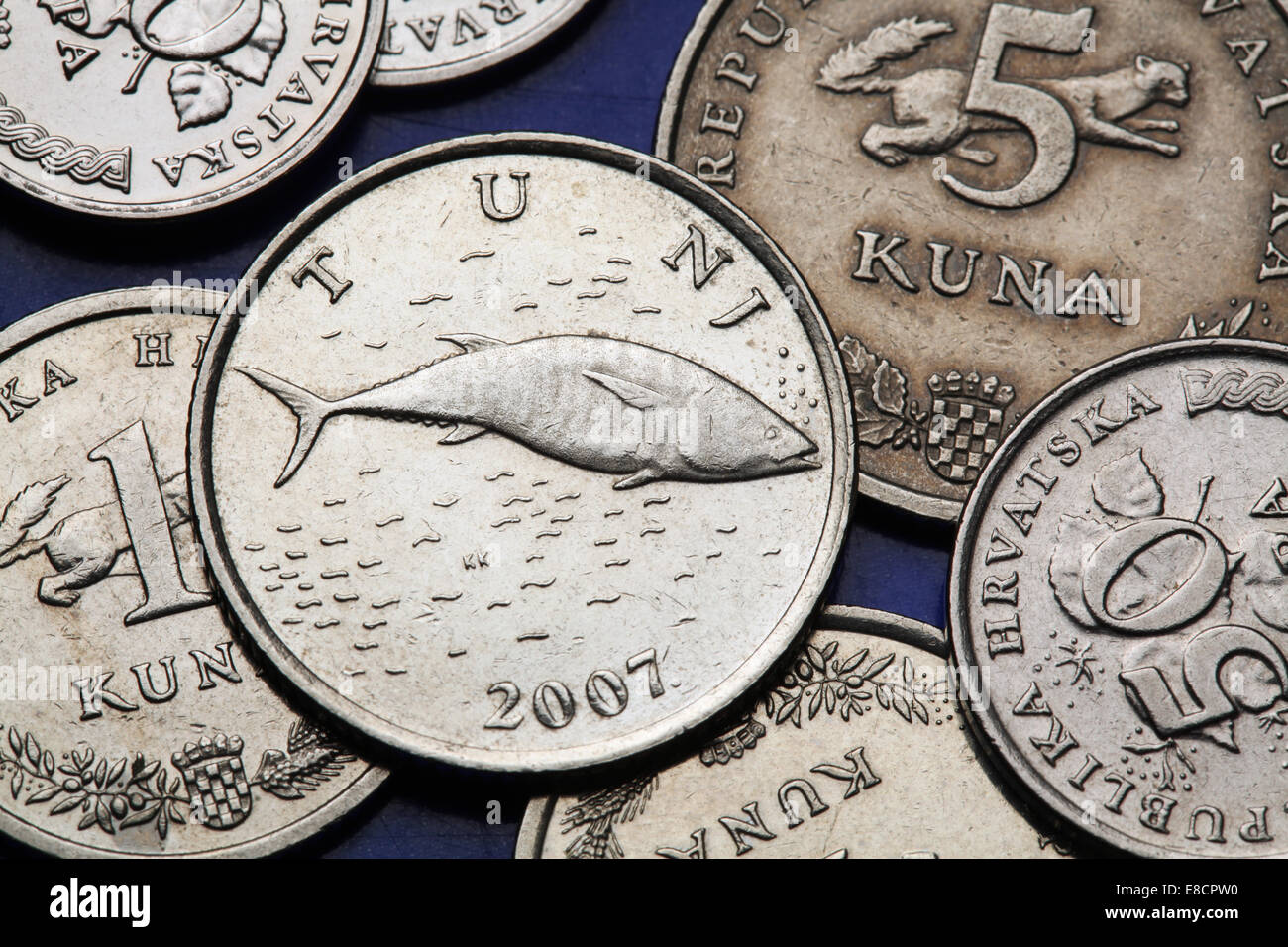 Coins of Croatia. Atlantic bluefin tuna (Olea Thunnus thynnus) depicted ...
