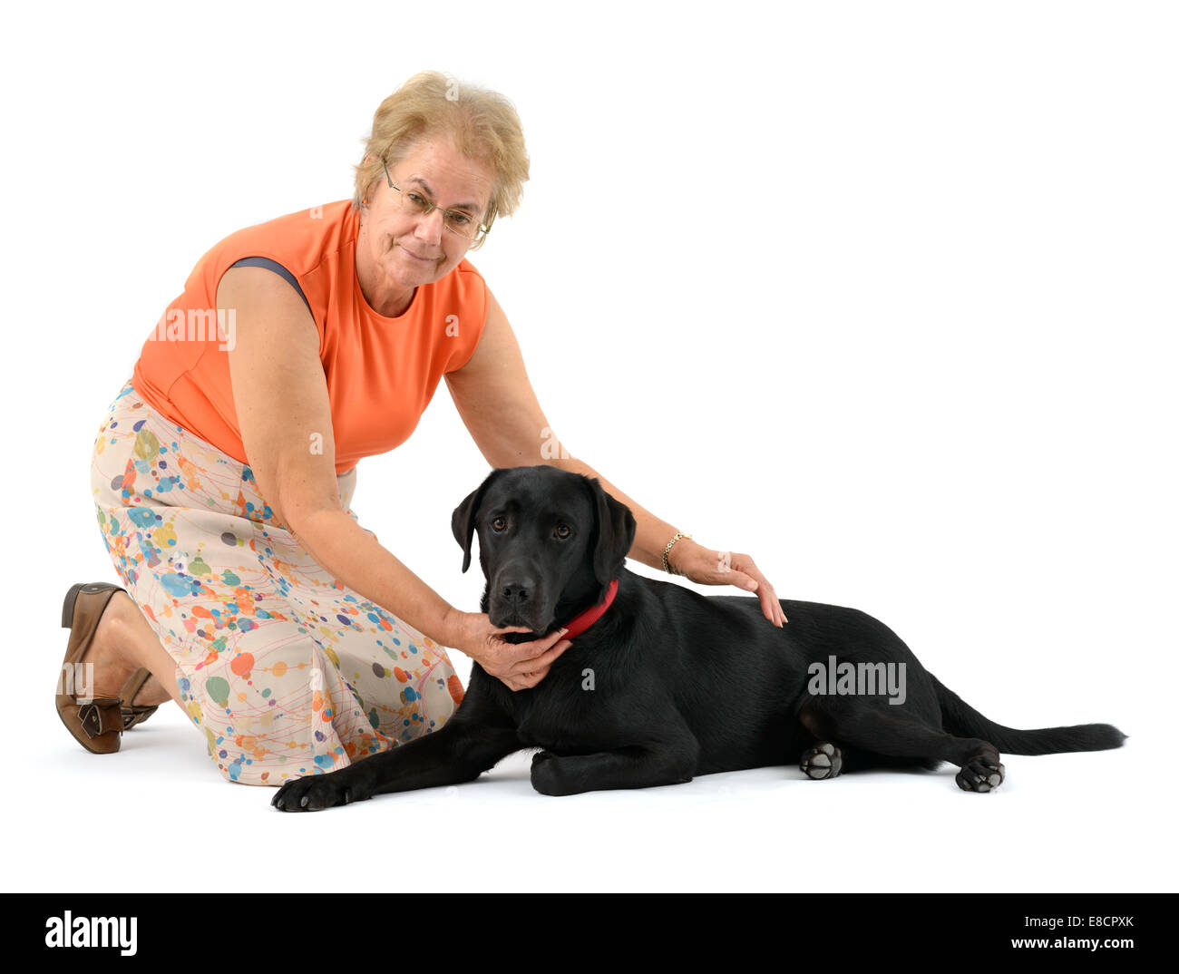 Black dog on old Cut Out Stock Images & Pictures - Alamy