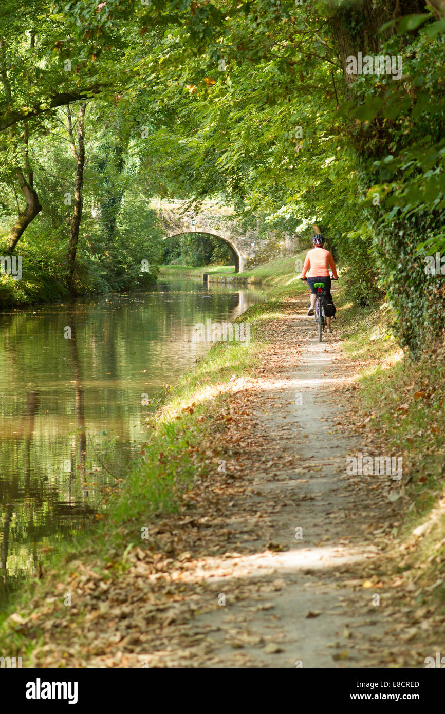 Young woman Cycling along a canal towpath Stock Photo - Alamy