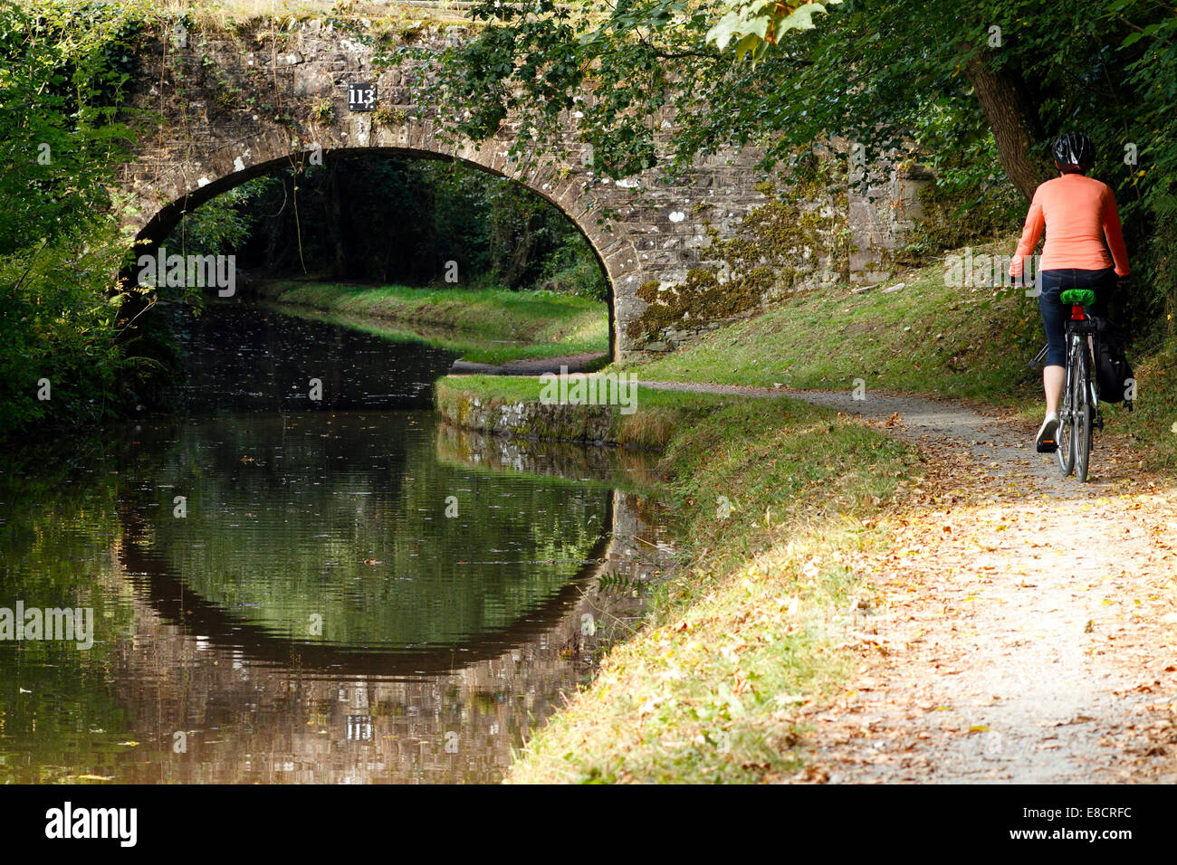 Young woman Cycling along a canal towpath Stock Photo - Alamy