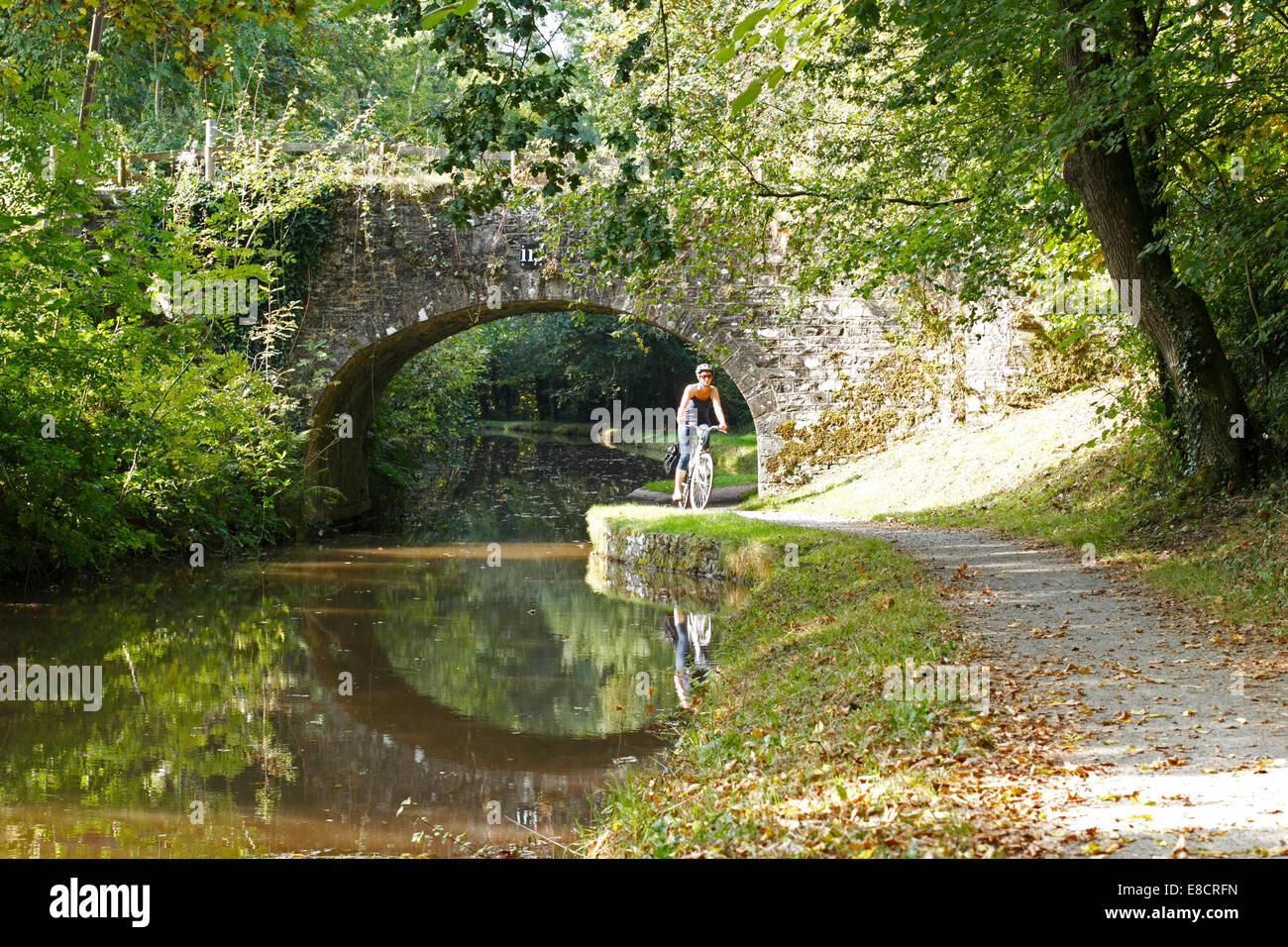 Young woman Cycling along a canal towpath Stock Photo - Alamy