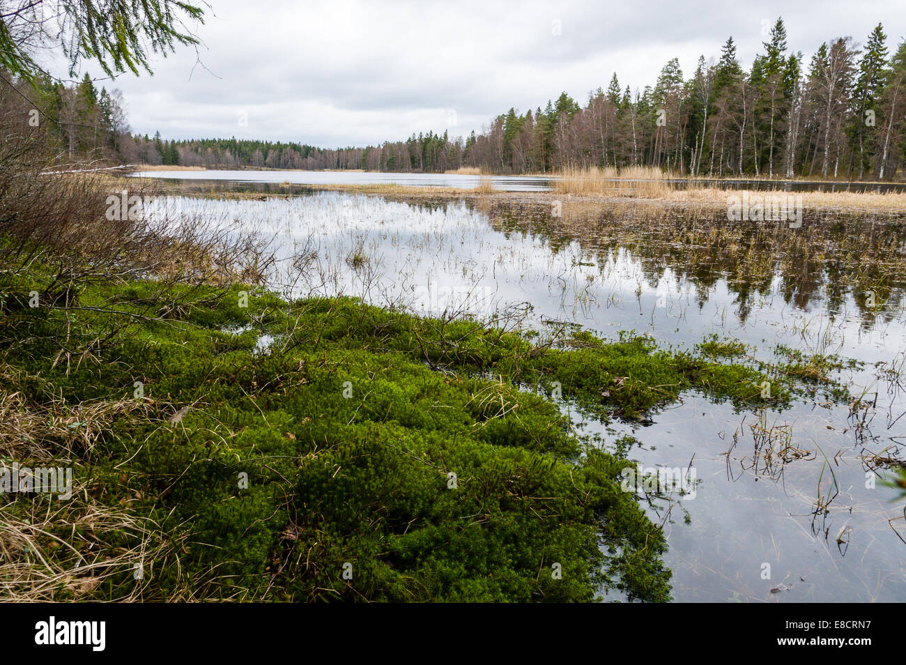 Halle hunneberg hi-res stock photography and images - Alamy