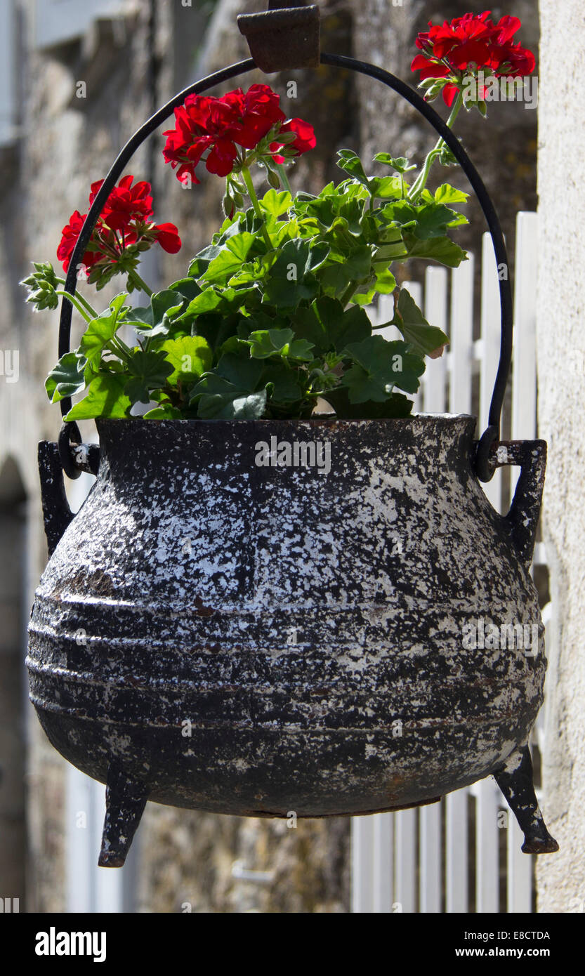 Couldron of flowers Stock Photo - Alamy
