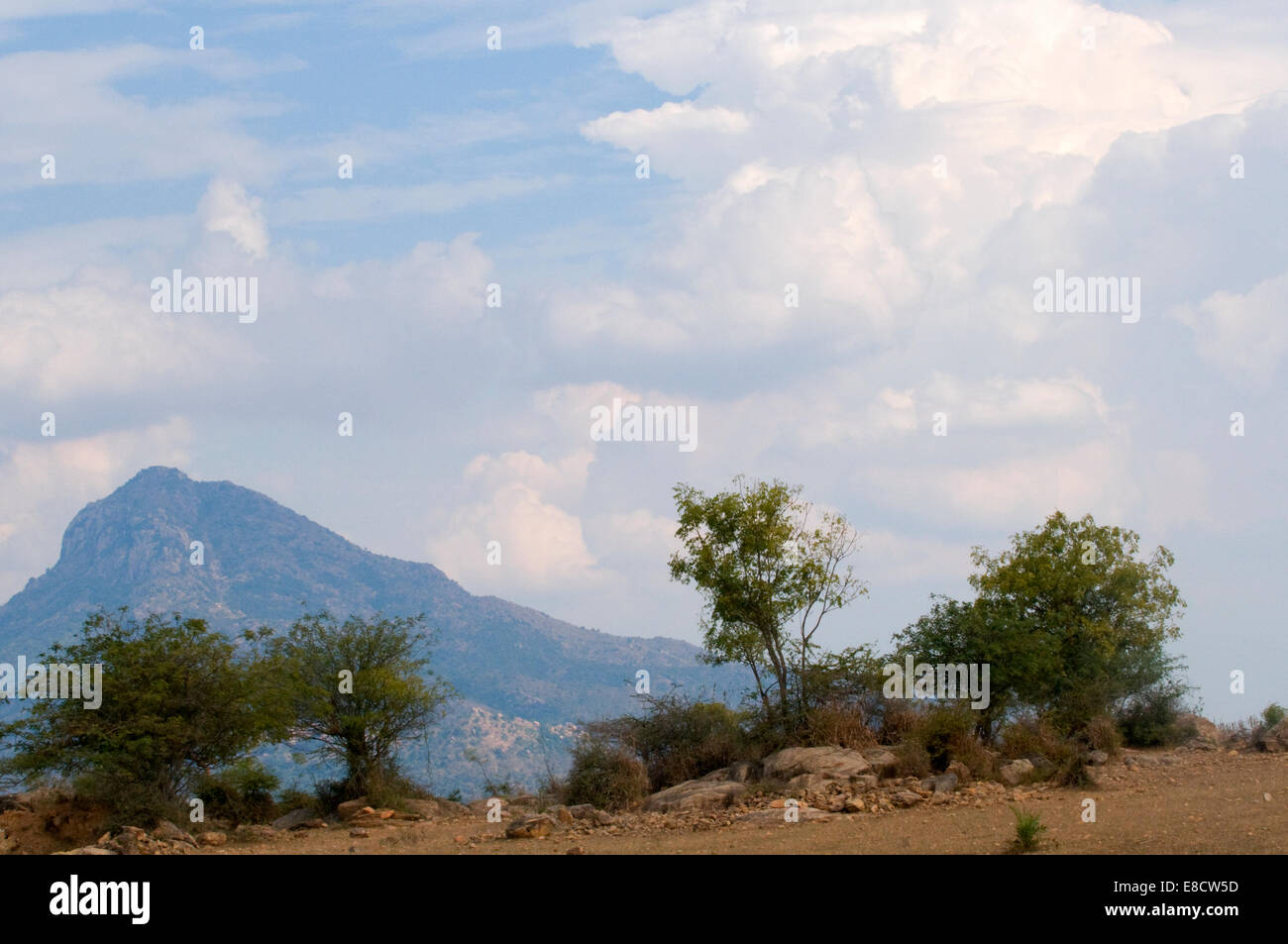 Arunachala hi-res stock photography and images - Alamy