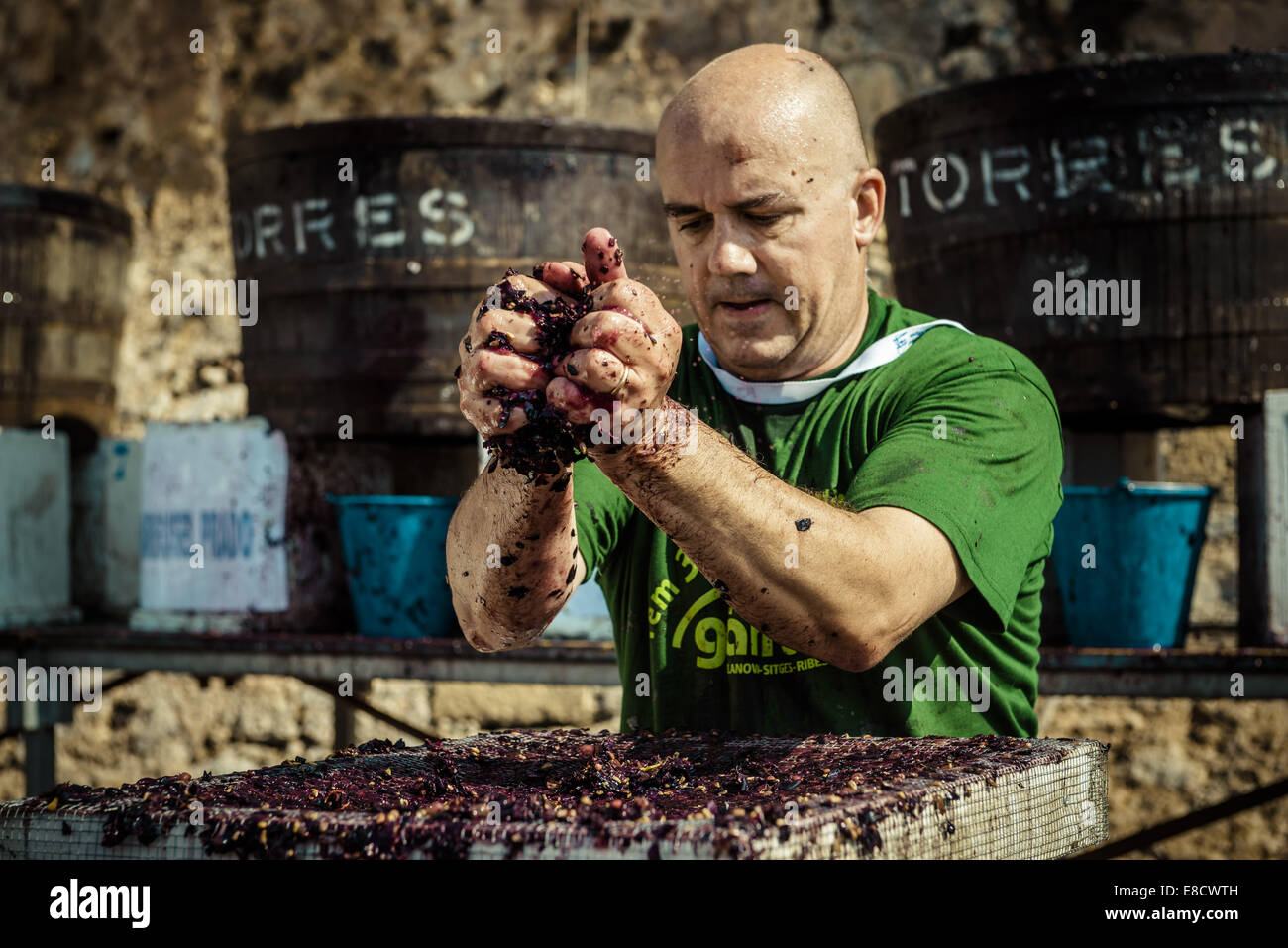 Grapes stomping wine hi-res stock photography and images - Alamy
