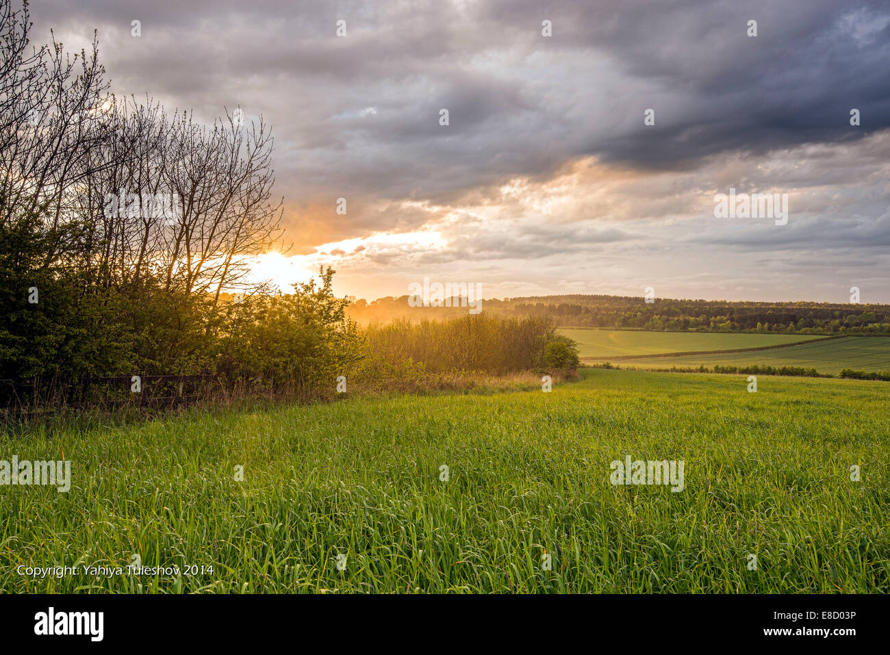 Late spring in Northumberland. Sun peaked through in the middle of ...