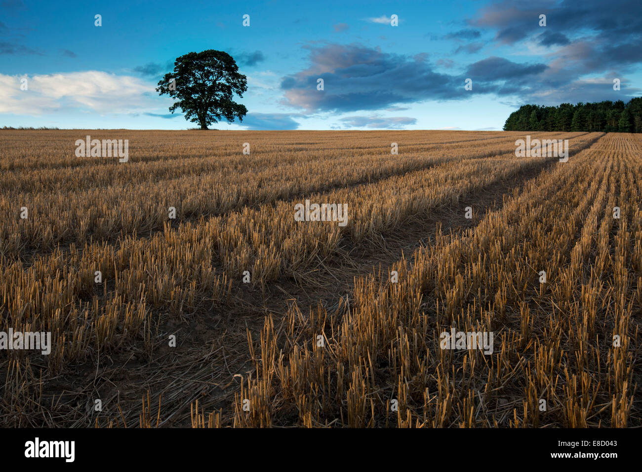 Stannington hi-res stock photography and images - Alamy