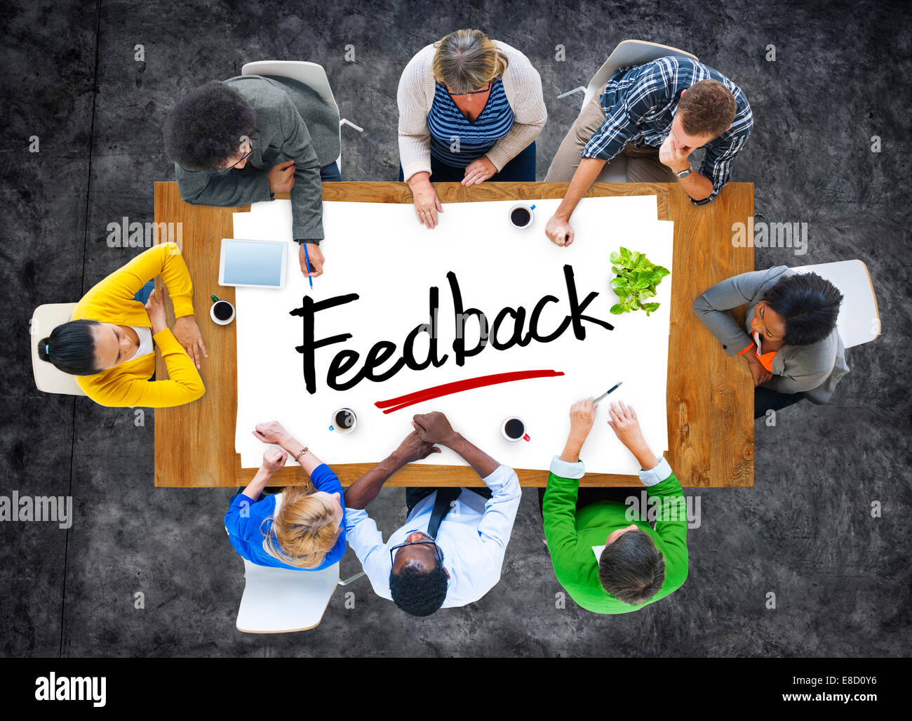 Multiethnic Group of People Discussing About Feedback Stock Photo - Alamy