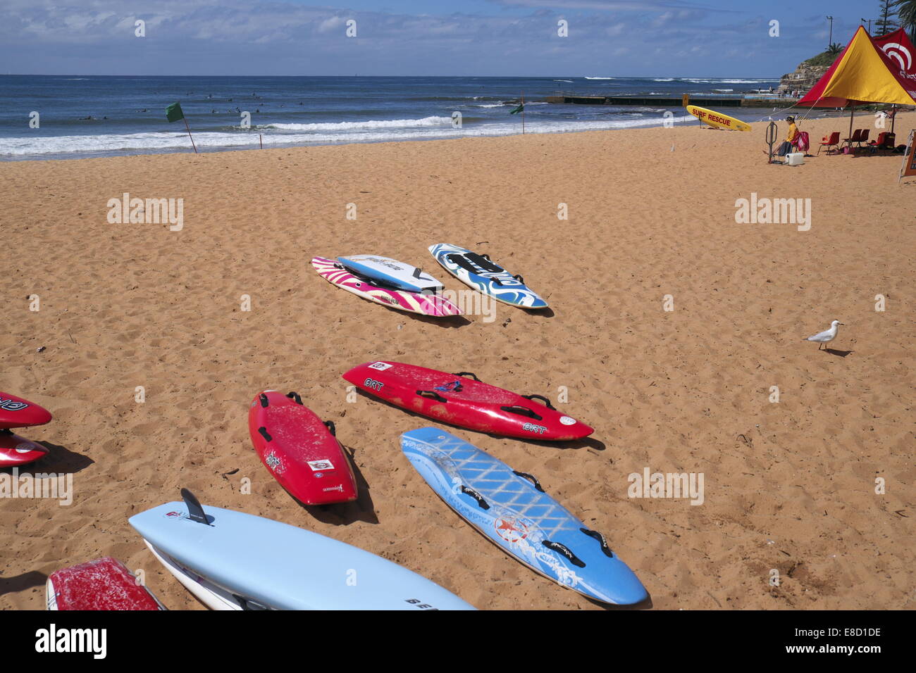 collaroy beach in spring, surf life saving season has just begun ...