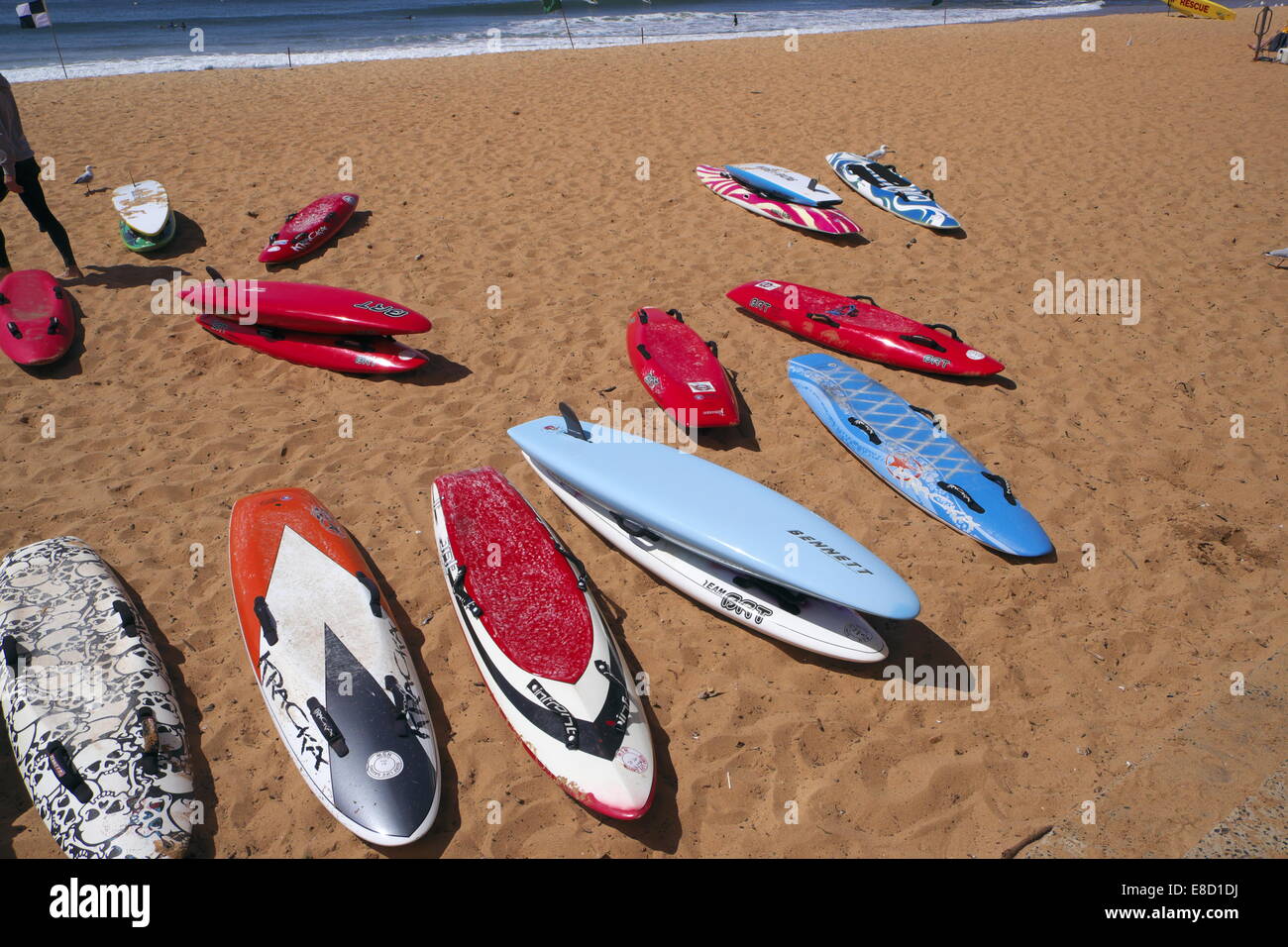 collaroy beach in spring, surf life saving season has just begun ...