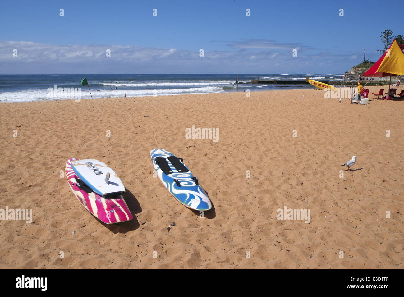 Collaroy beach in spring, surf life saving season has just begun ...
