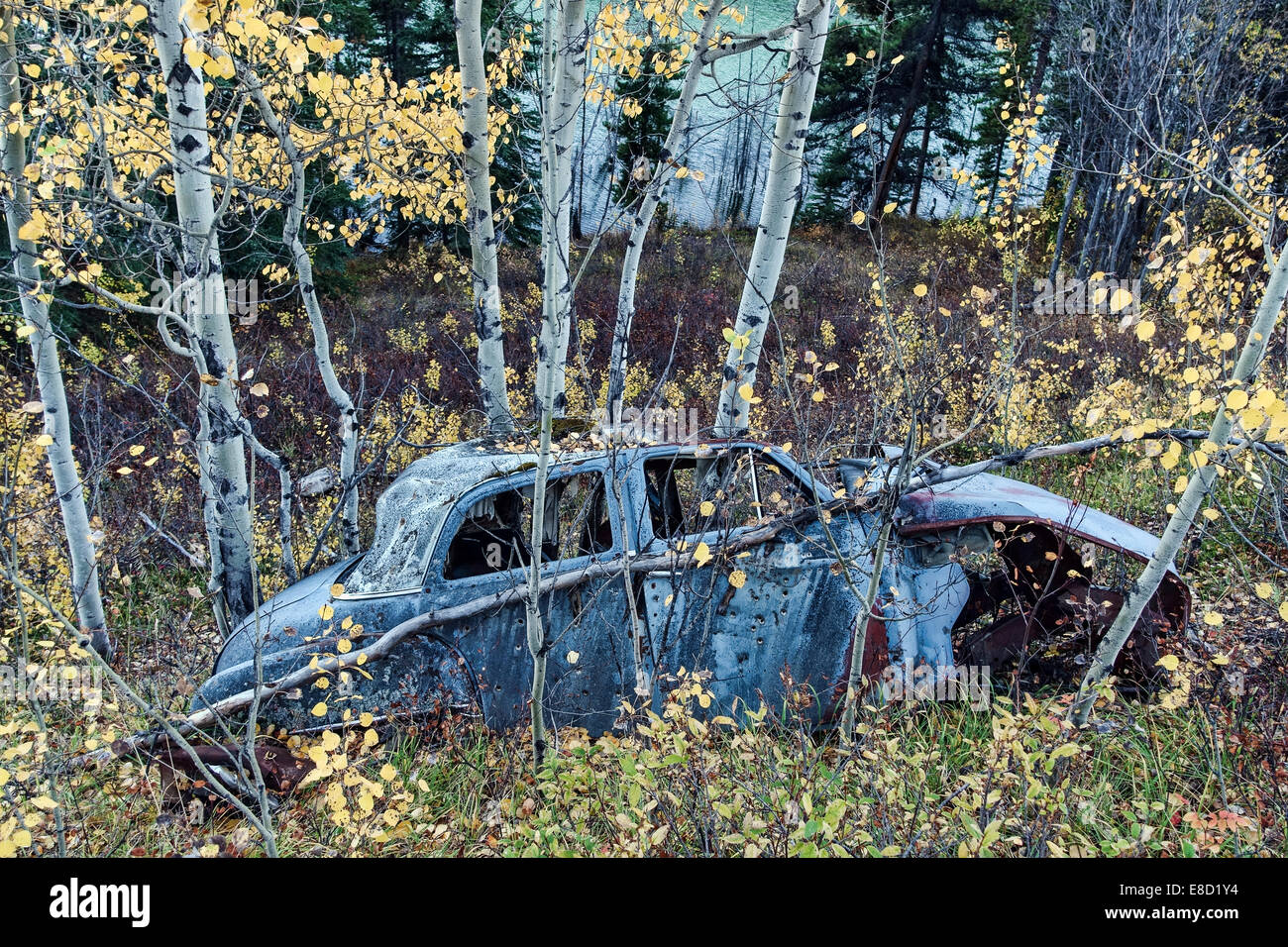 Car wreck forest hi-res stock photography and images - Alamy