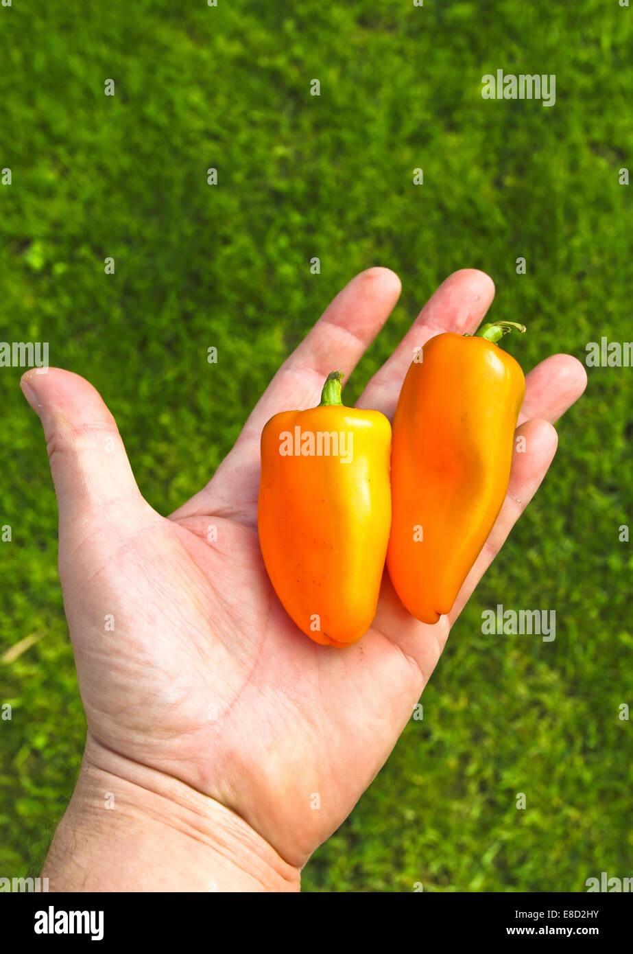 Natural paprika hi-res stock photography and images - Alamy