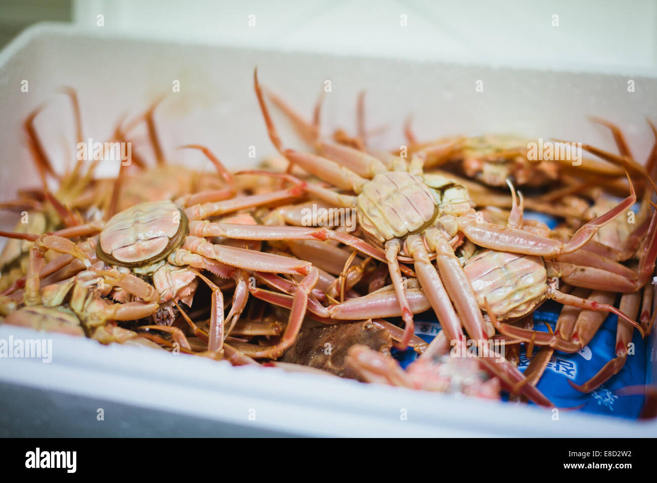 Baby crab hi-res stock photography and images - Alamy