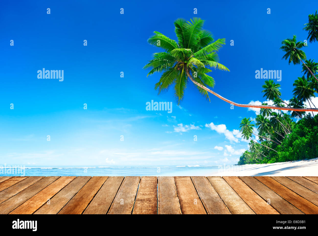 Summer Beach Plank Palm Tree Concept Stock Photo - Alamy