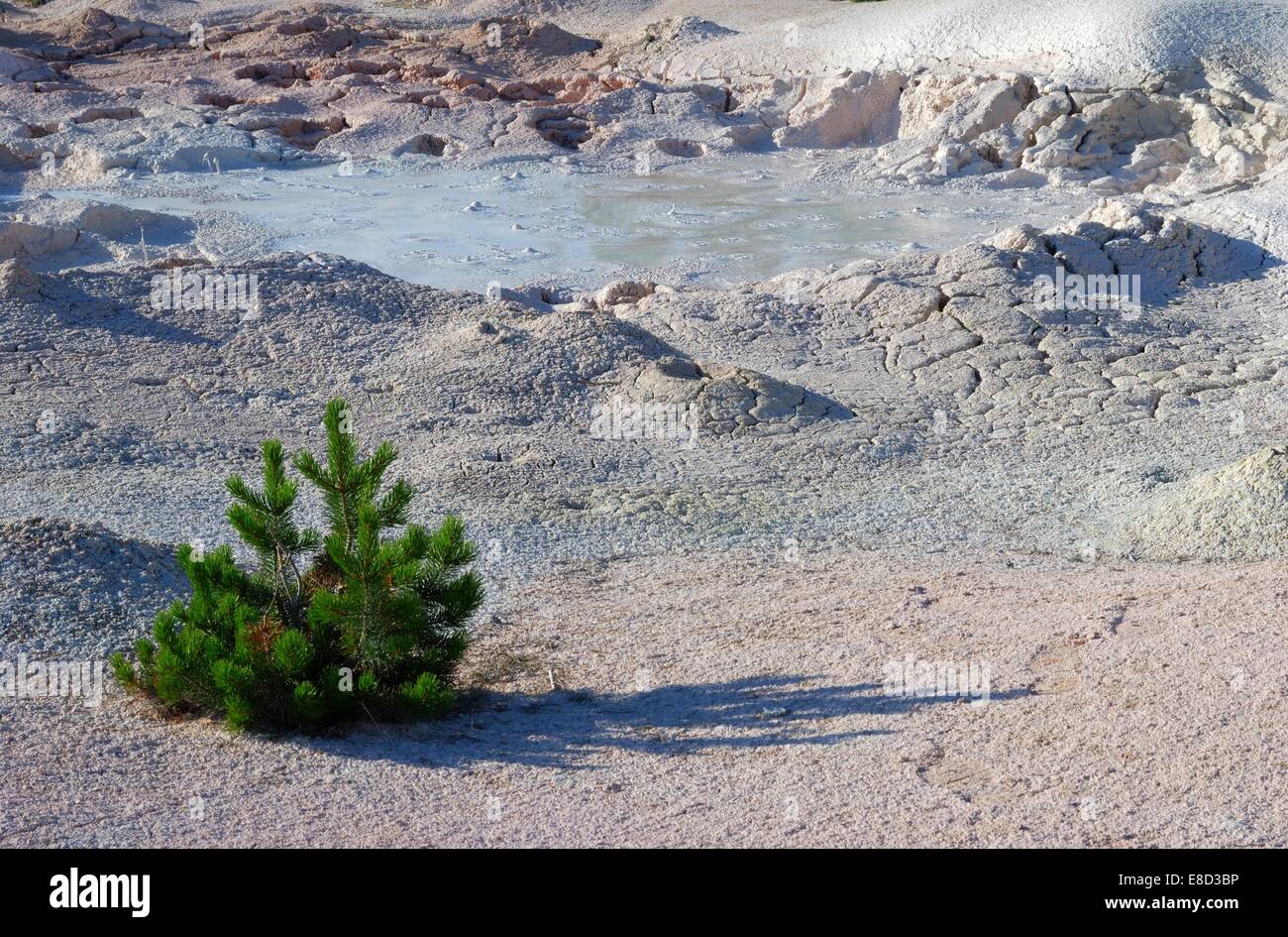 Geology of yellowstone hi-res stock photography and images - Alamy