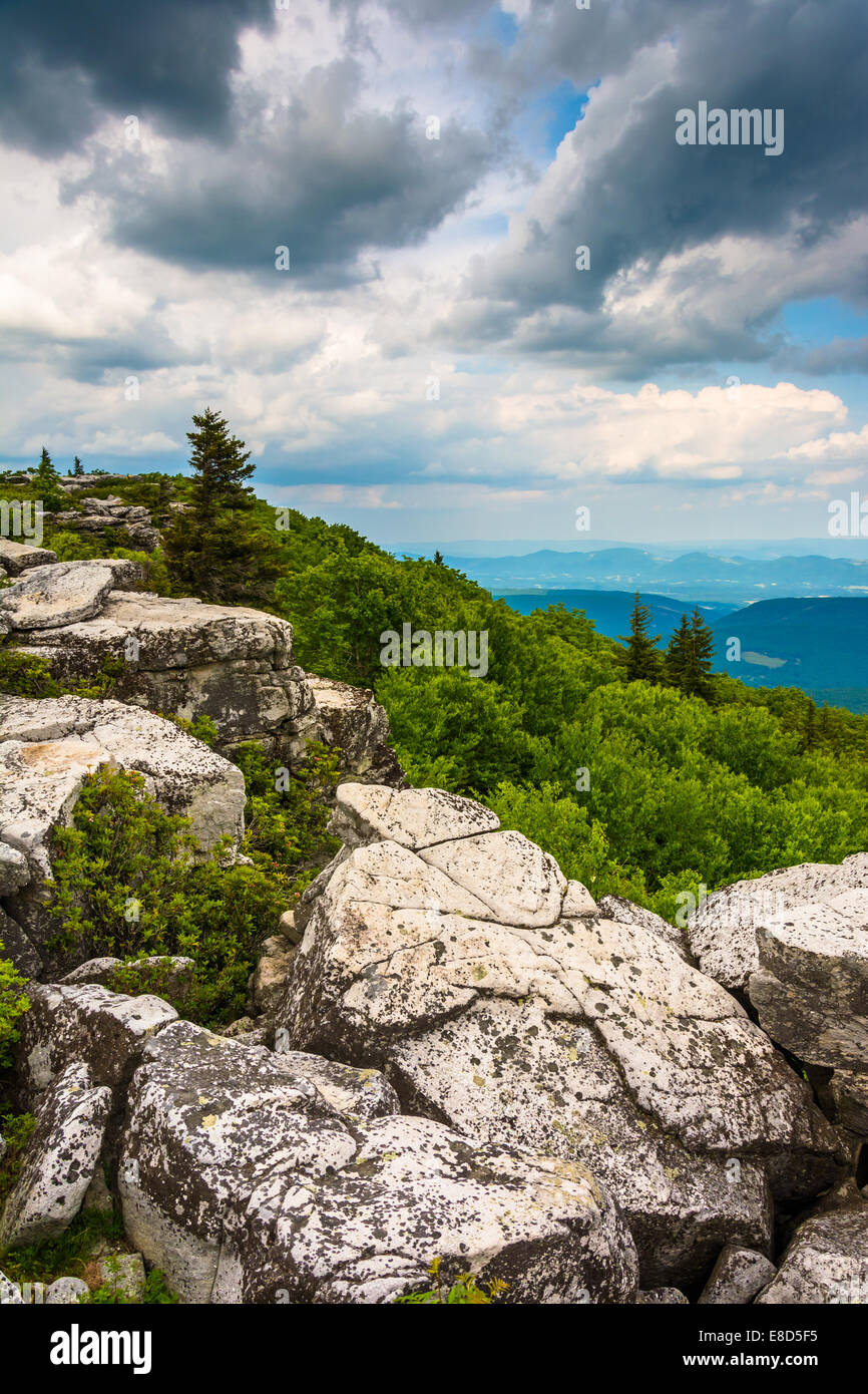 Boulders and eastern view of the Appalachian Mountains from Bear Rocks ...