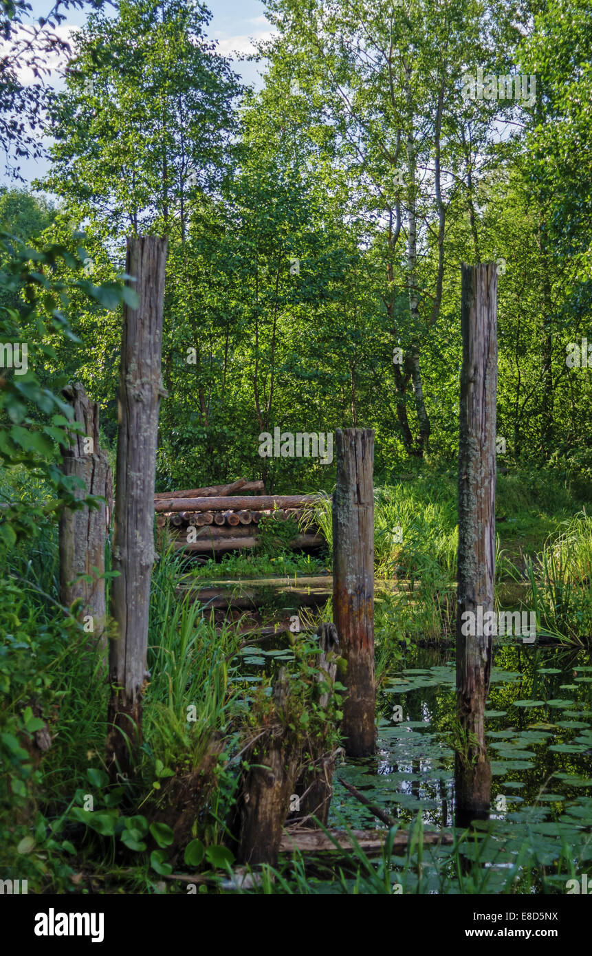 Wooden bridge over forest river Stock Photo - Alamy