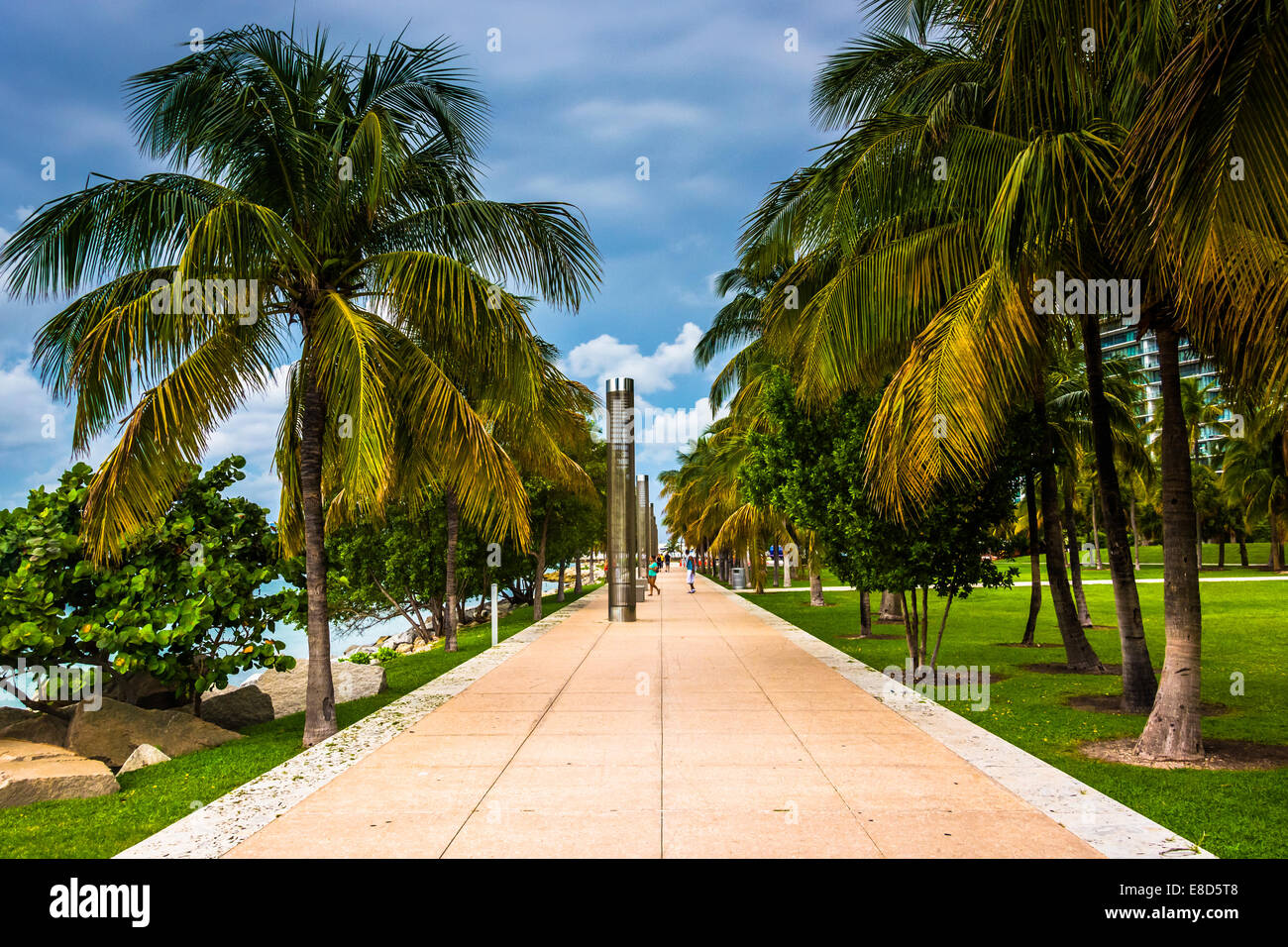 Palm trees along a path at South Point Park, Miami, Beach Stock Photo ...