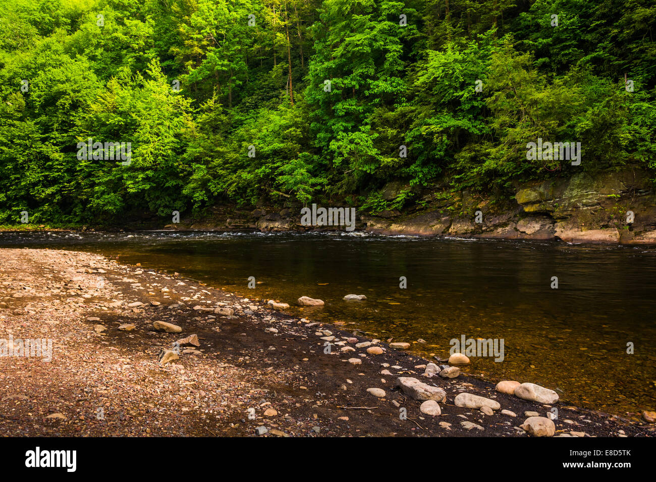 Rocky beach along the Lehigh River at Lehigh Gorge State Park ...