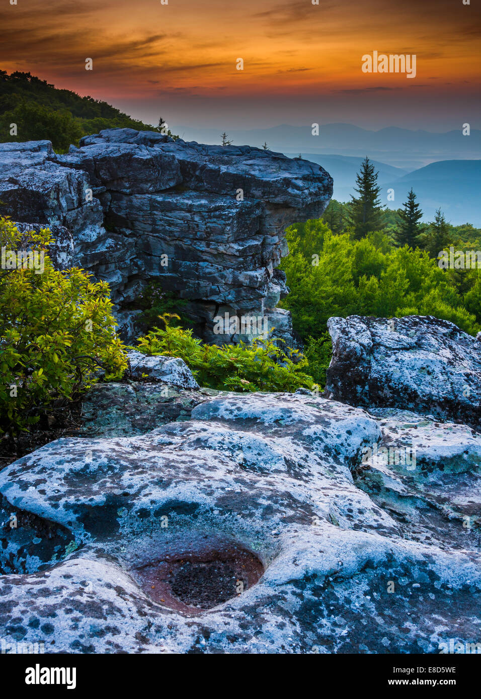 Sunrise at Bear Rocks Preserve, in Dolly Sods Wilderness, Monongahela ...