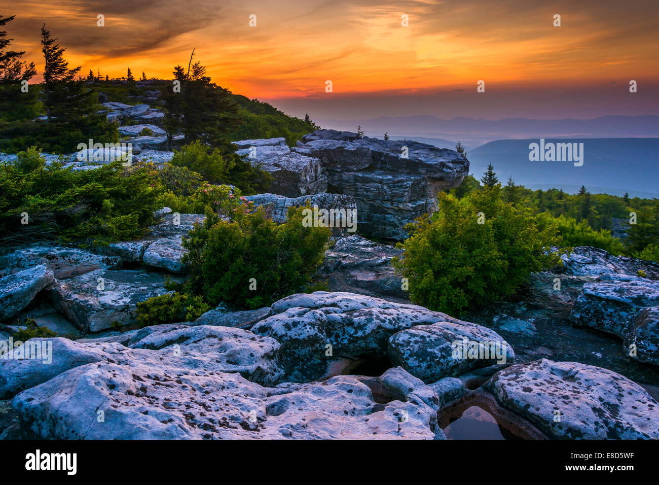 Sunrise at Bear Rocks Preserve, in Dolly Sods Wilderness, Monongahela ...