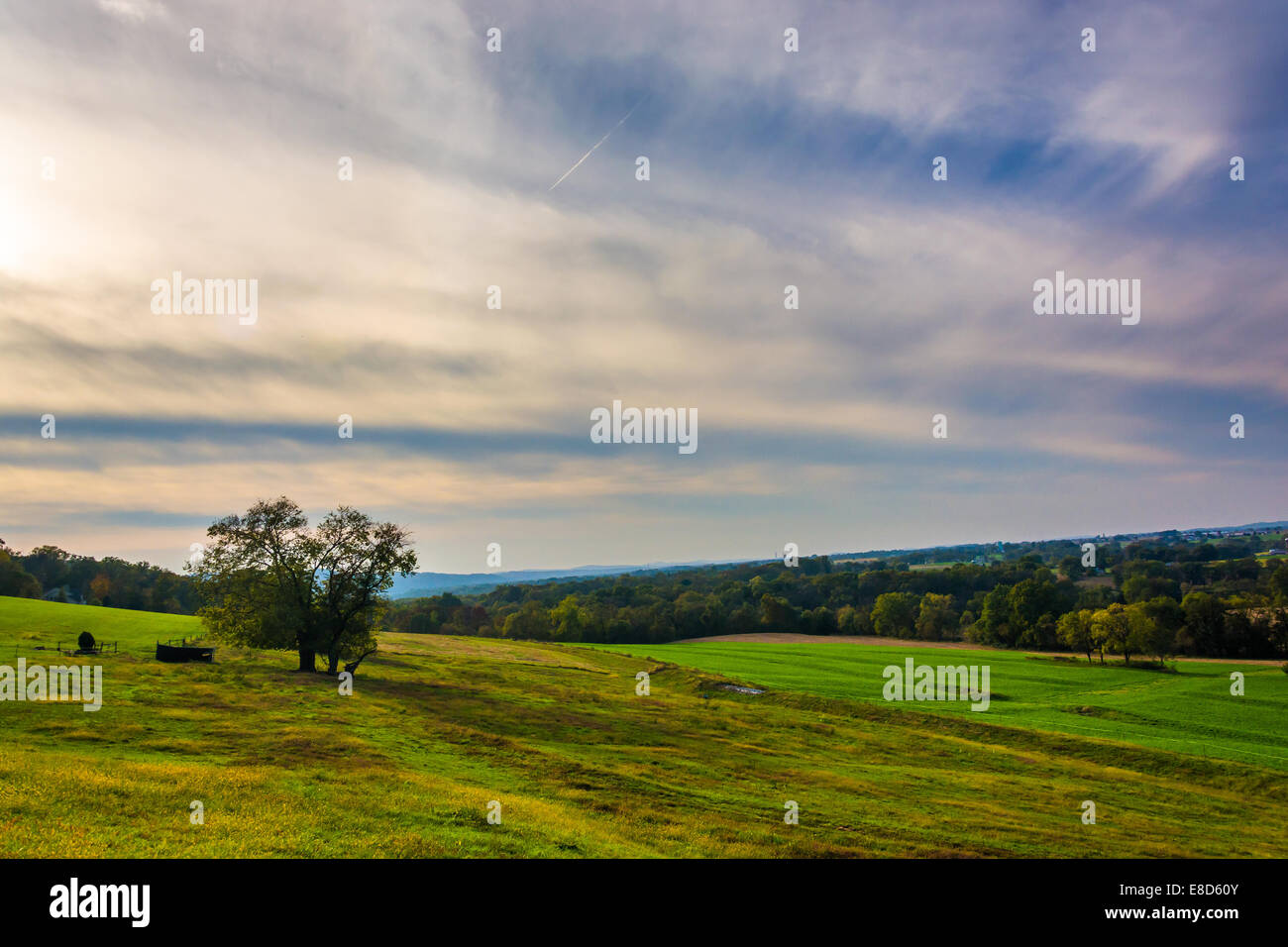 Tree on a hill in rural Lancaster County, Pennsylvania Stock Photo - Alamy