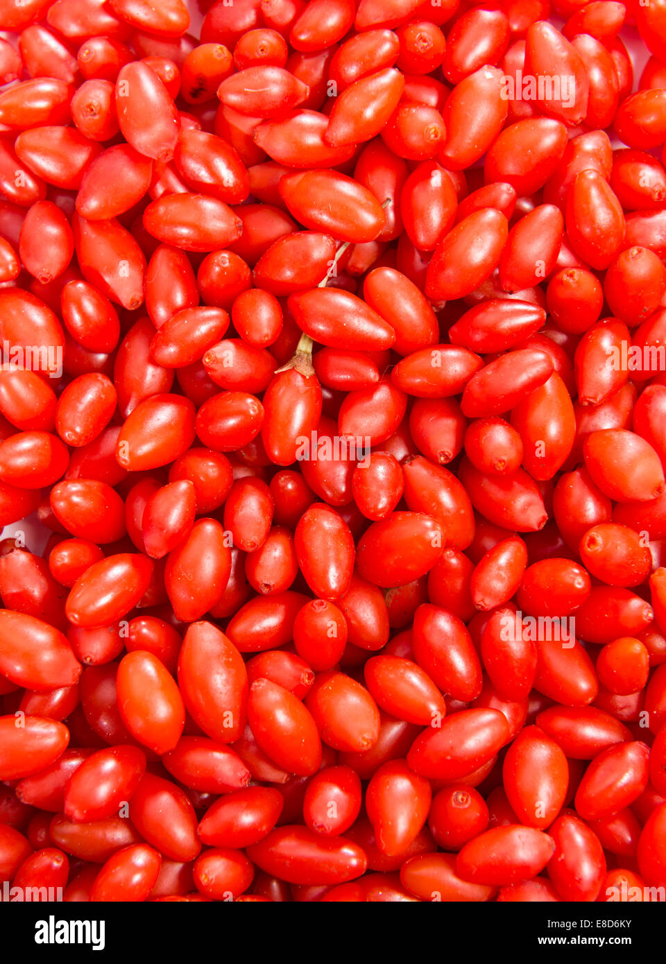 Goji Berries (also known as Wolfberry) as detailed background image ...