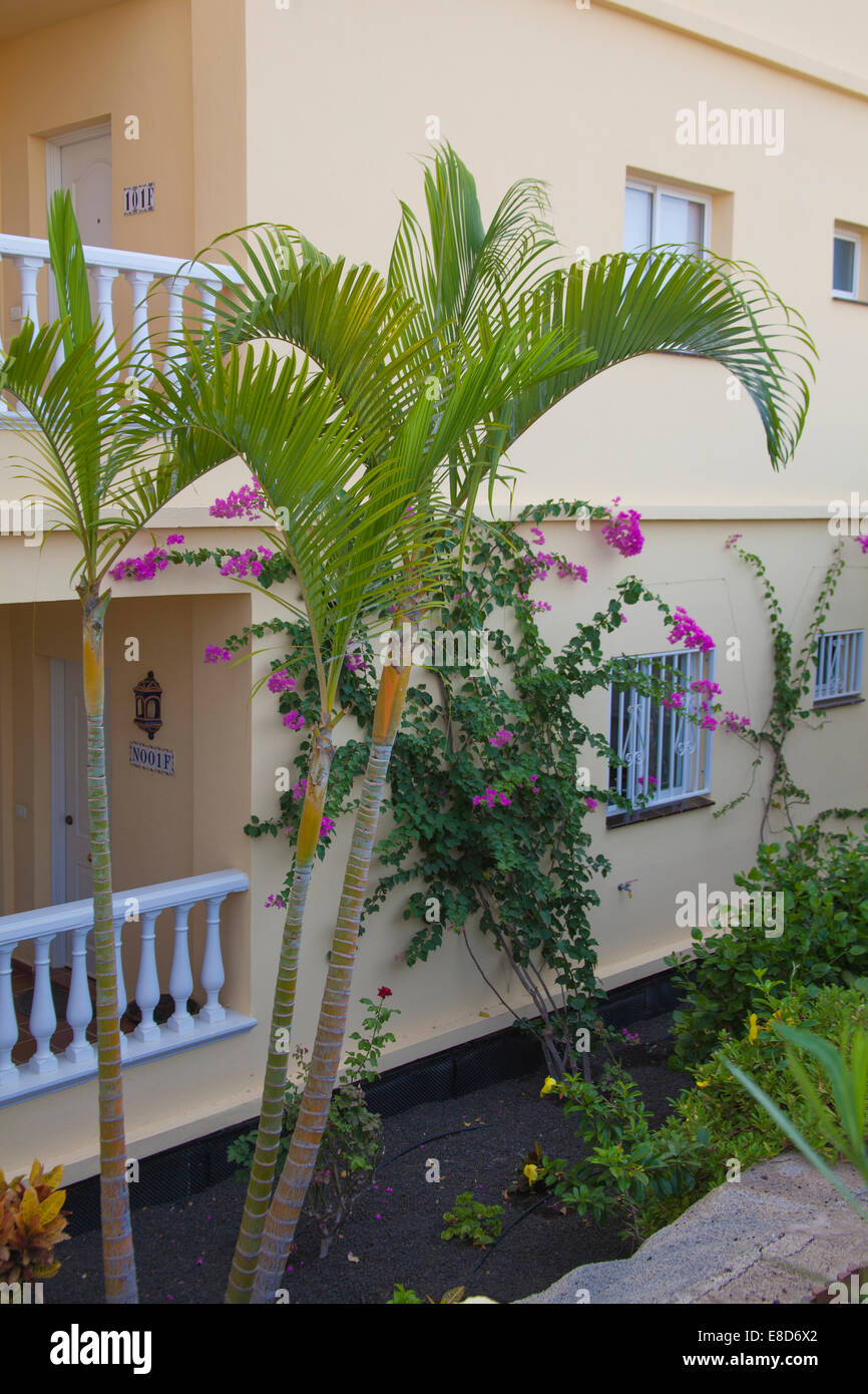 The tree outside hi-res stock photography and images - Alamy