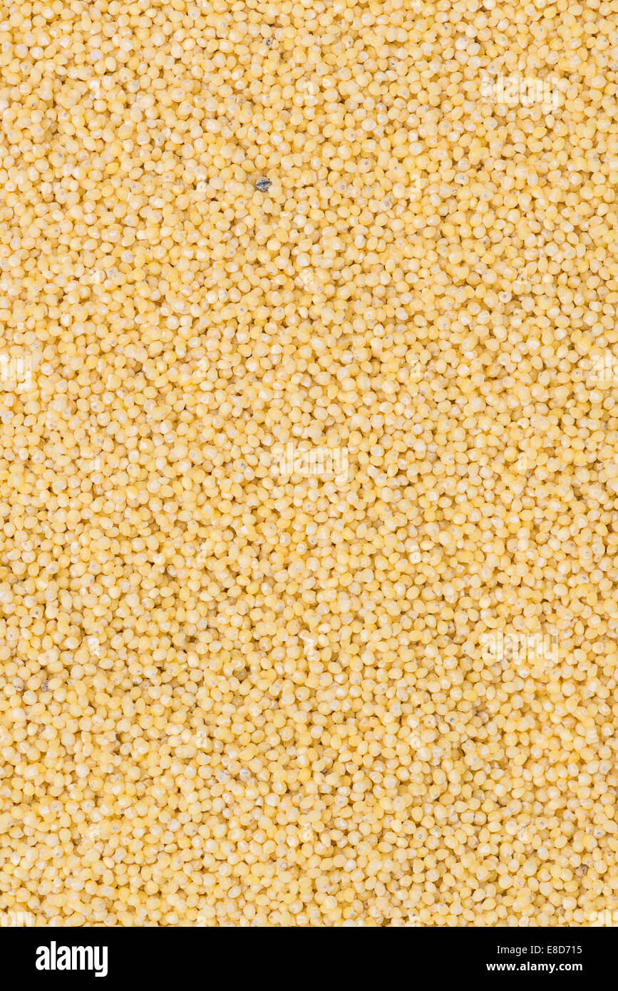 Millet close-up shot (for background or texture use Stock Photo - Alamy