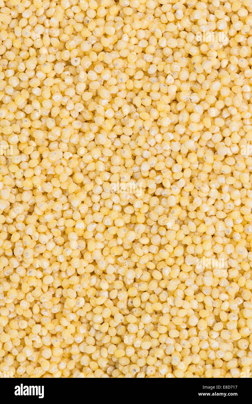 Millet close-up shot (for background or texture use Stock Photo - Alamy