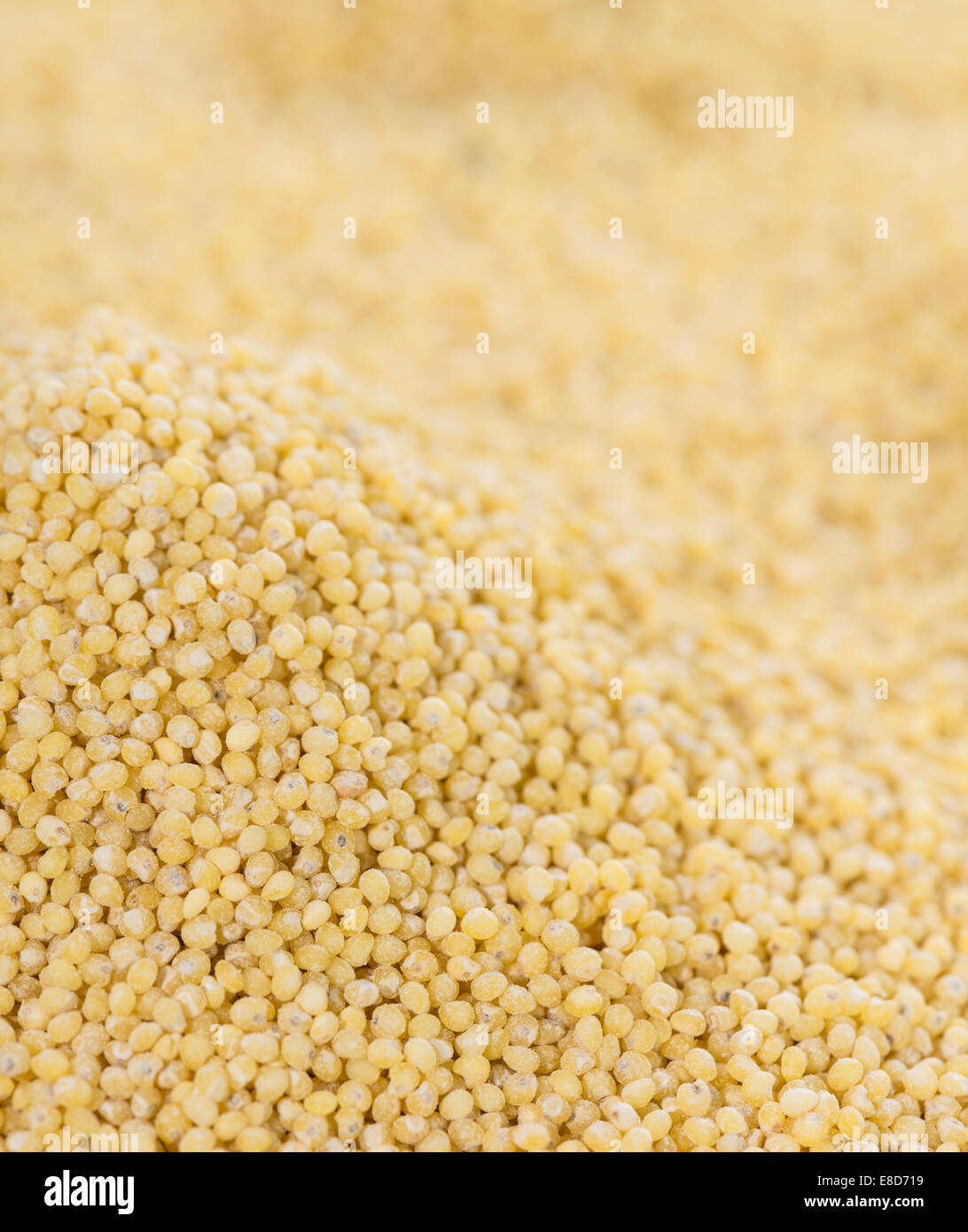 Millet close-up shot (for background or texture use Stock Photo - Alamy