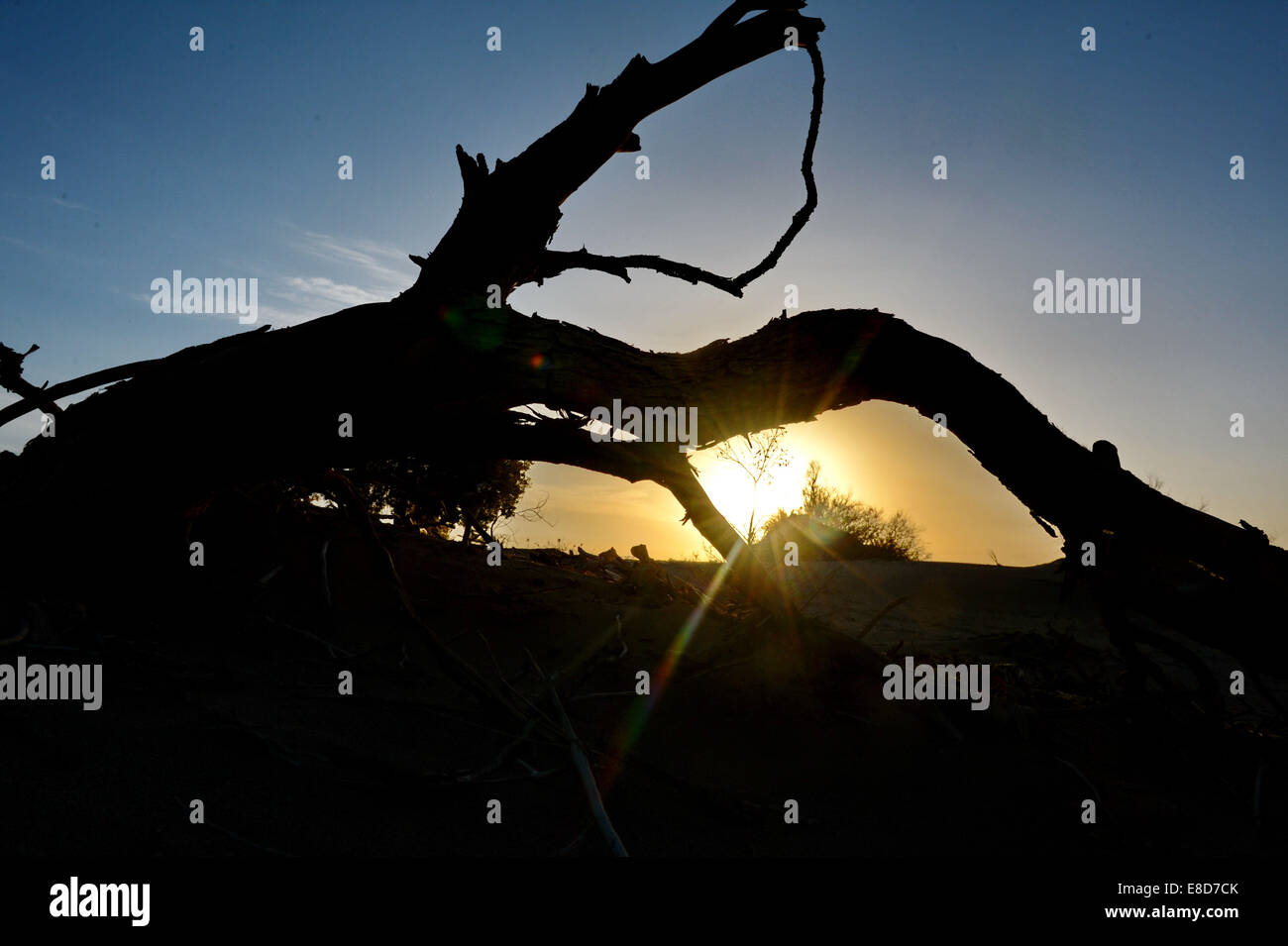 Shijiazhuang. 5th Oct, 2014. Photo taken on Oct. 5, 2014 shows the ...