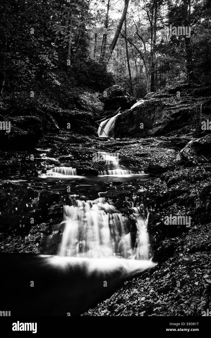 Color run Black and White Stock Photos & Images - Alamy