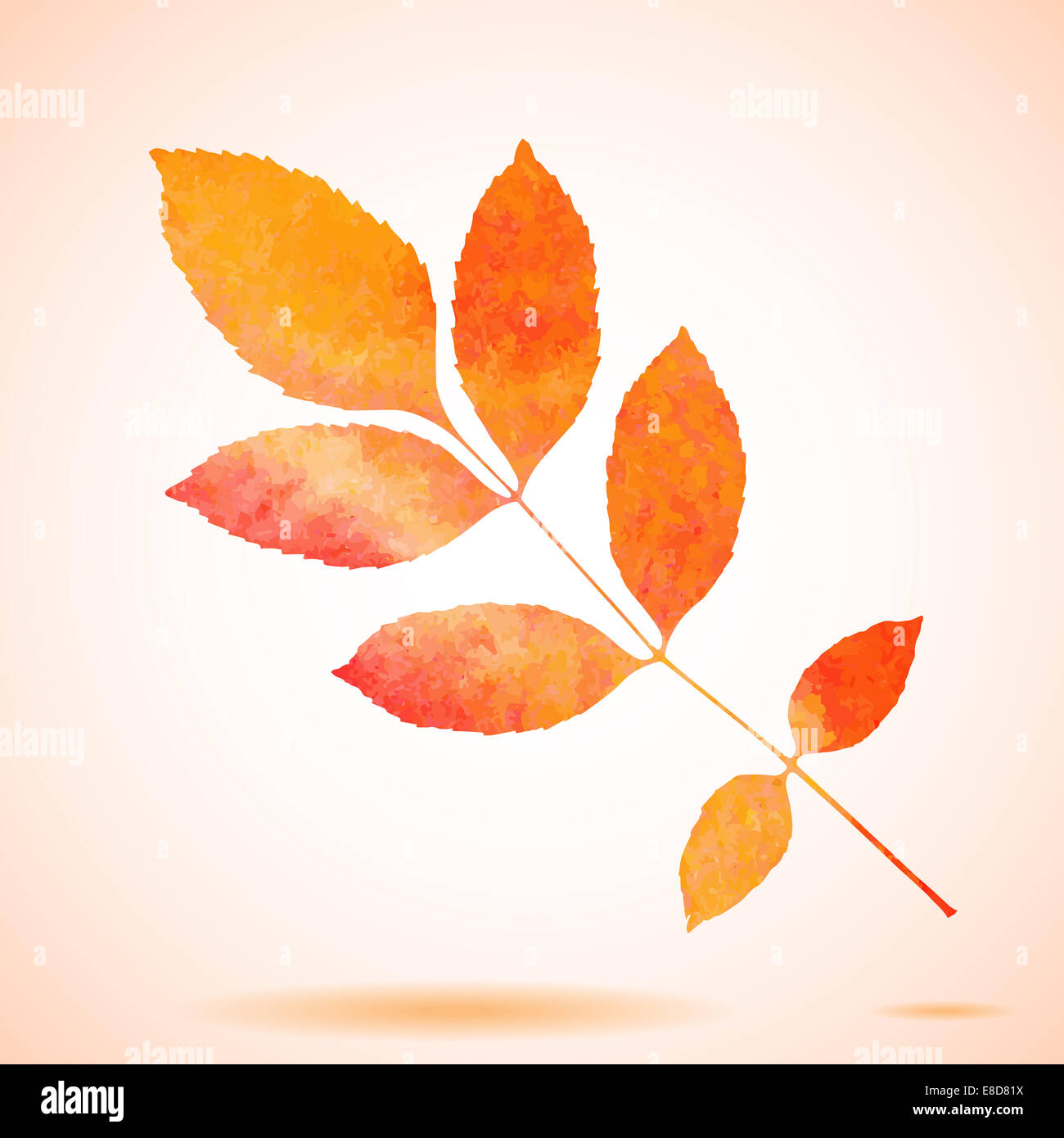 Orange watercolor painted vector ash tree leaf Stock Photo - Alamy