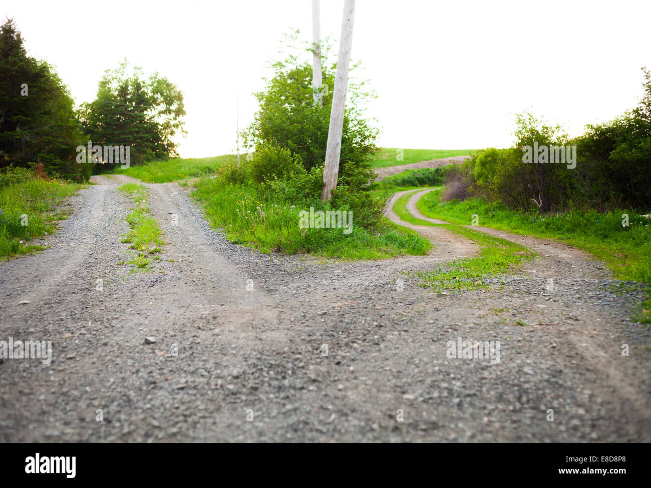 Conceptual image of a path that splits in two and a choice must be made ...