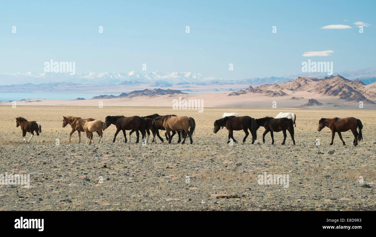 Achit hi-res stock photography and images - Alamy