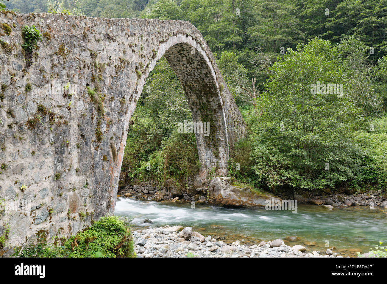 Arch bridge over the river Fırtına, Firtina Valley, Rize Province ...