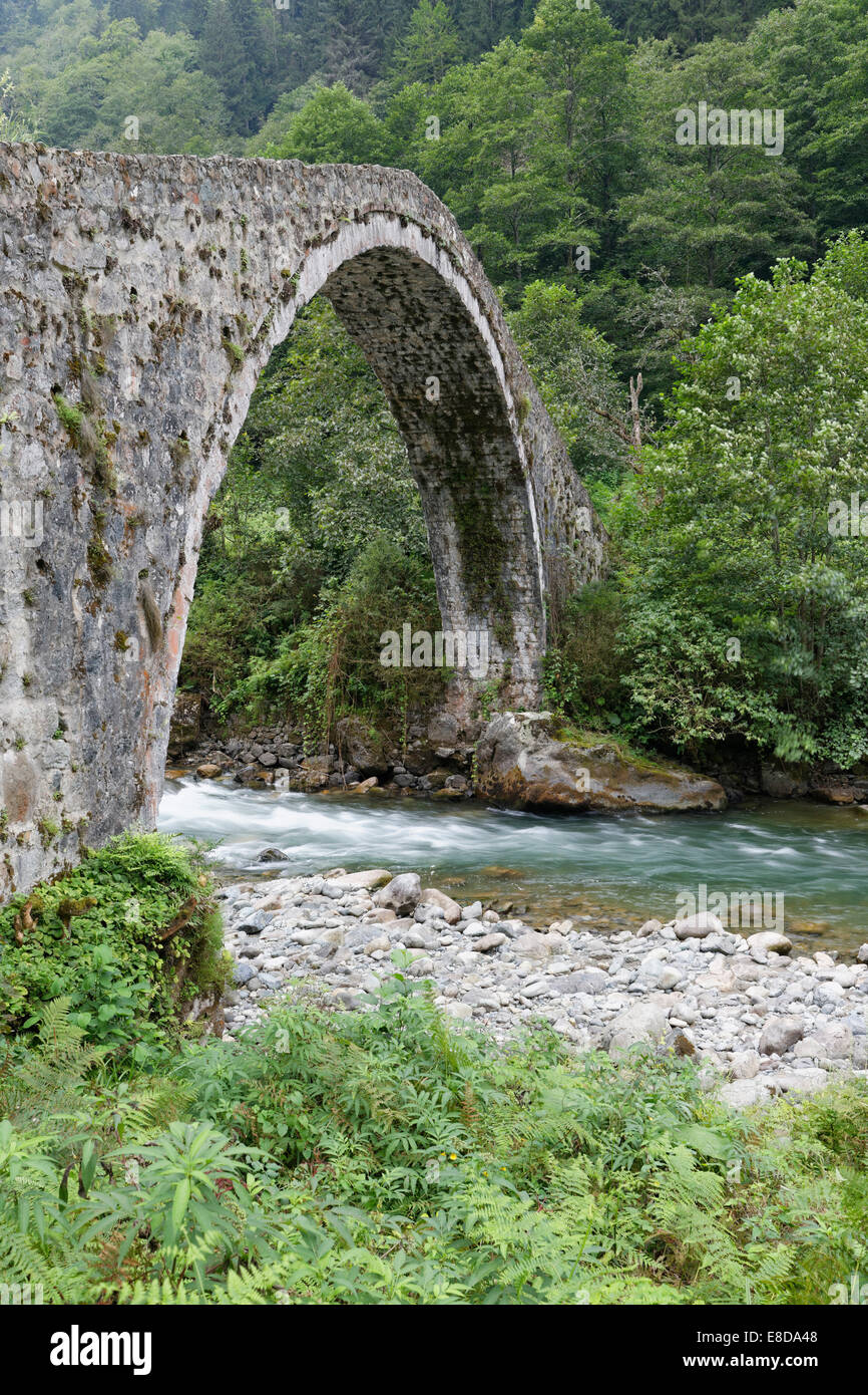 Arch bridge over the river Fırtına, Firtina Valley, Rize Province ...