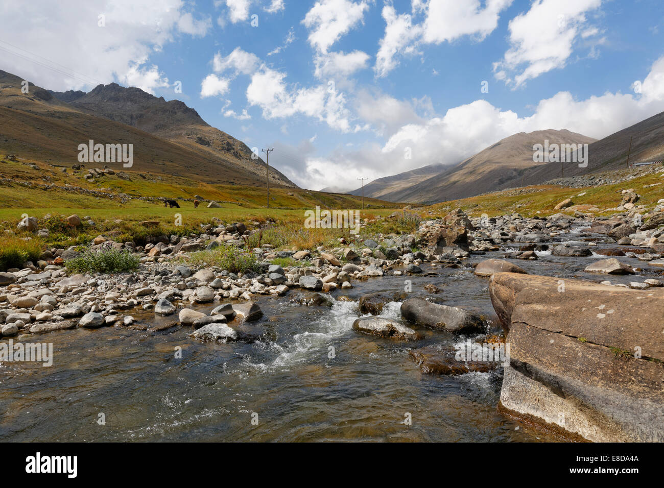 Brook on Ovit Pass, Rize Province, Pontic Mountains, Black Sea Region ...